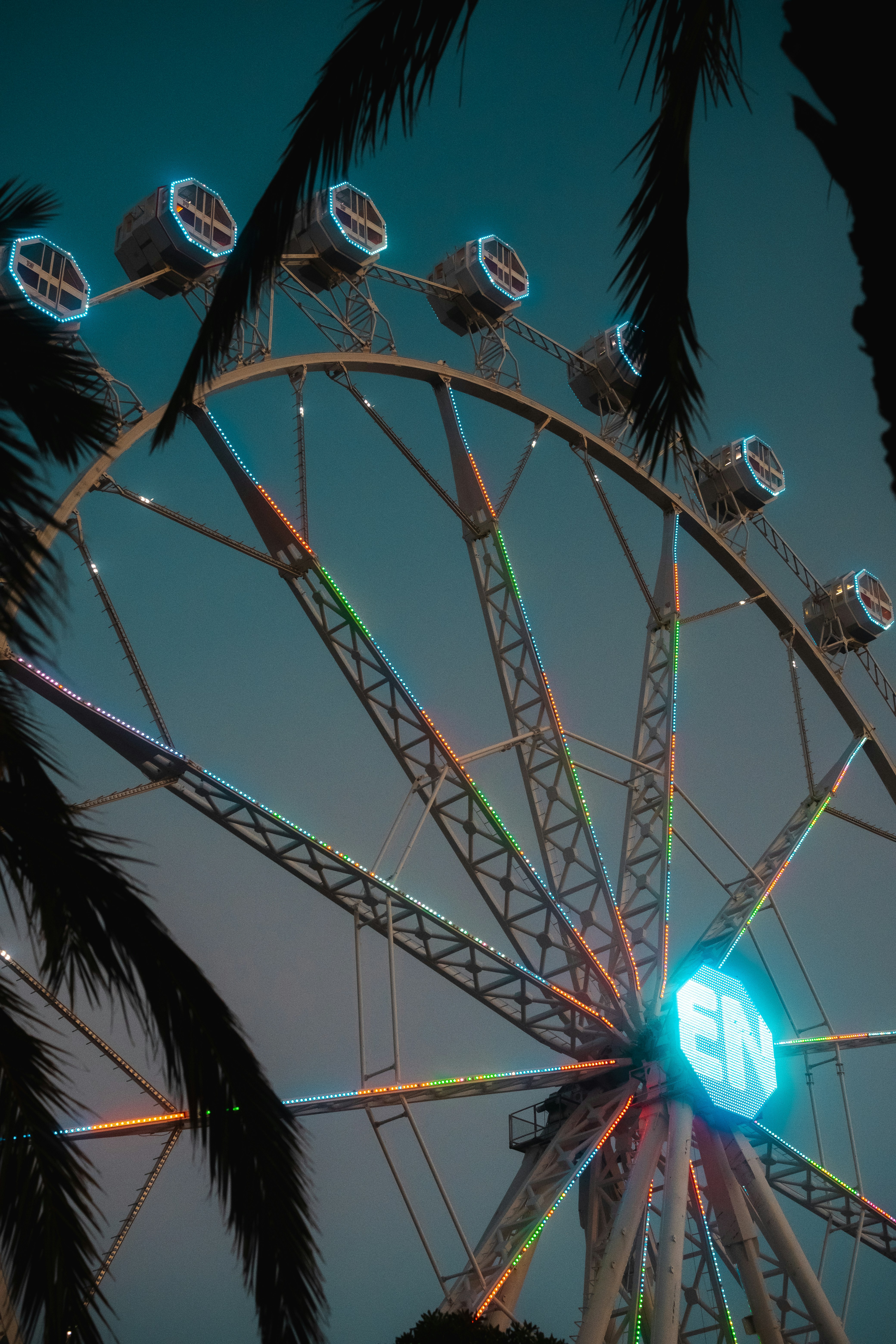 Neon Wheel at Dusk: A Ferris Arc Framed by Palms