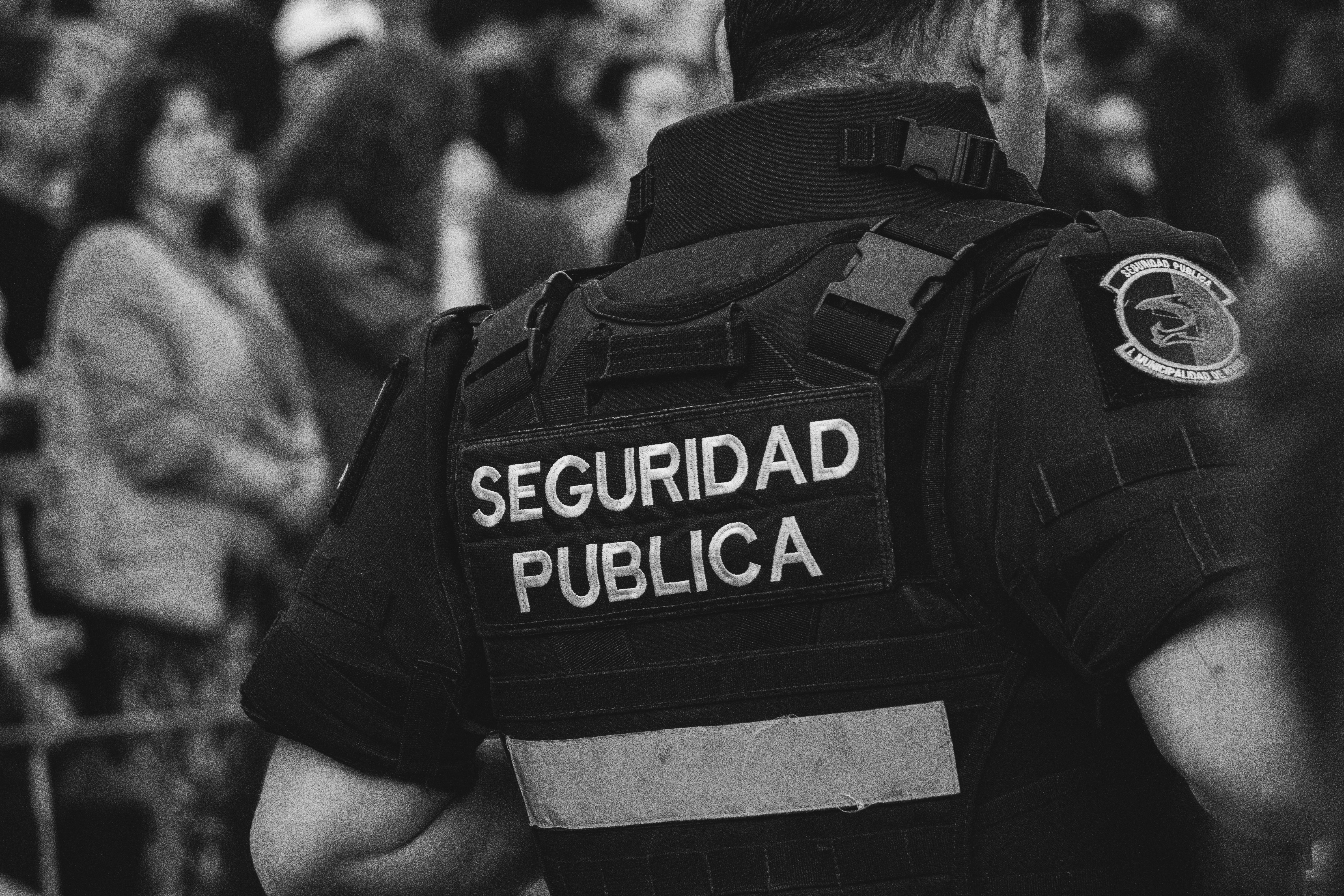 Guarded Pulse: Public Security in Focus