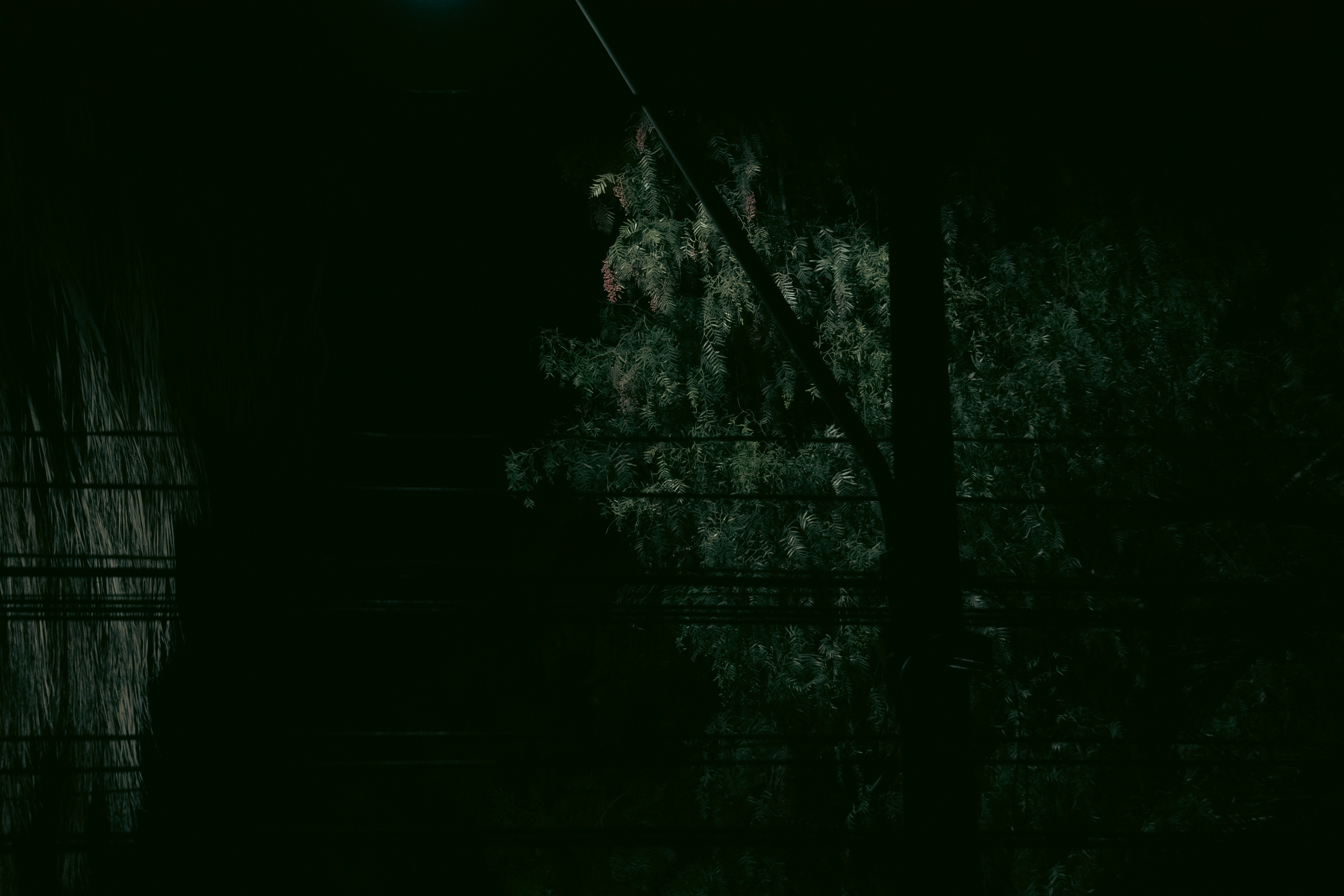 Shadowed Corridor: A Subtle Glimpse Through Night Veil