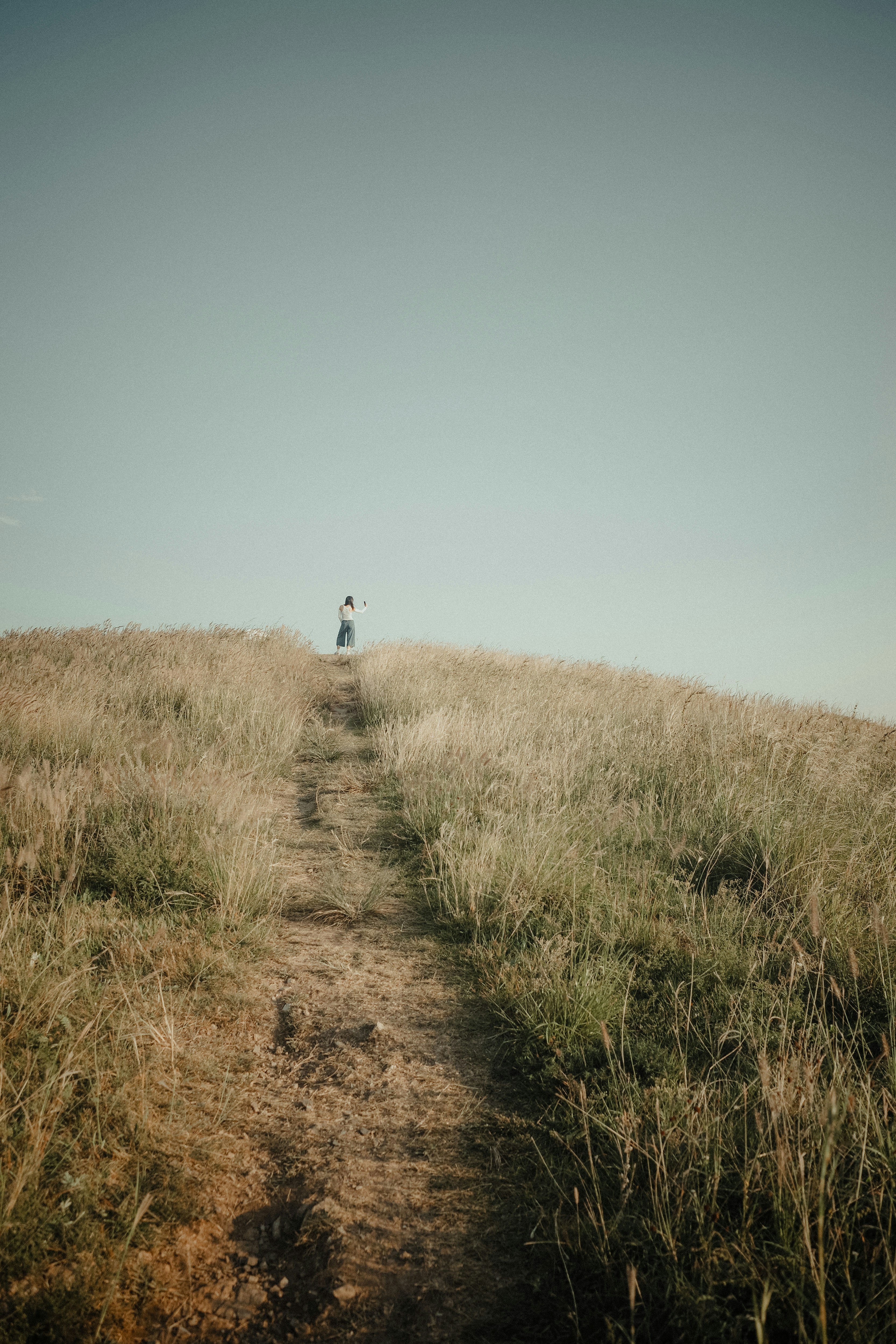Path to the Lone Figure