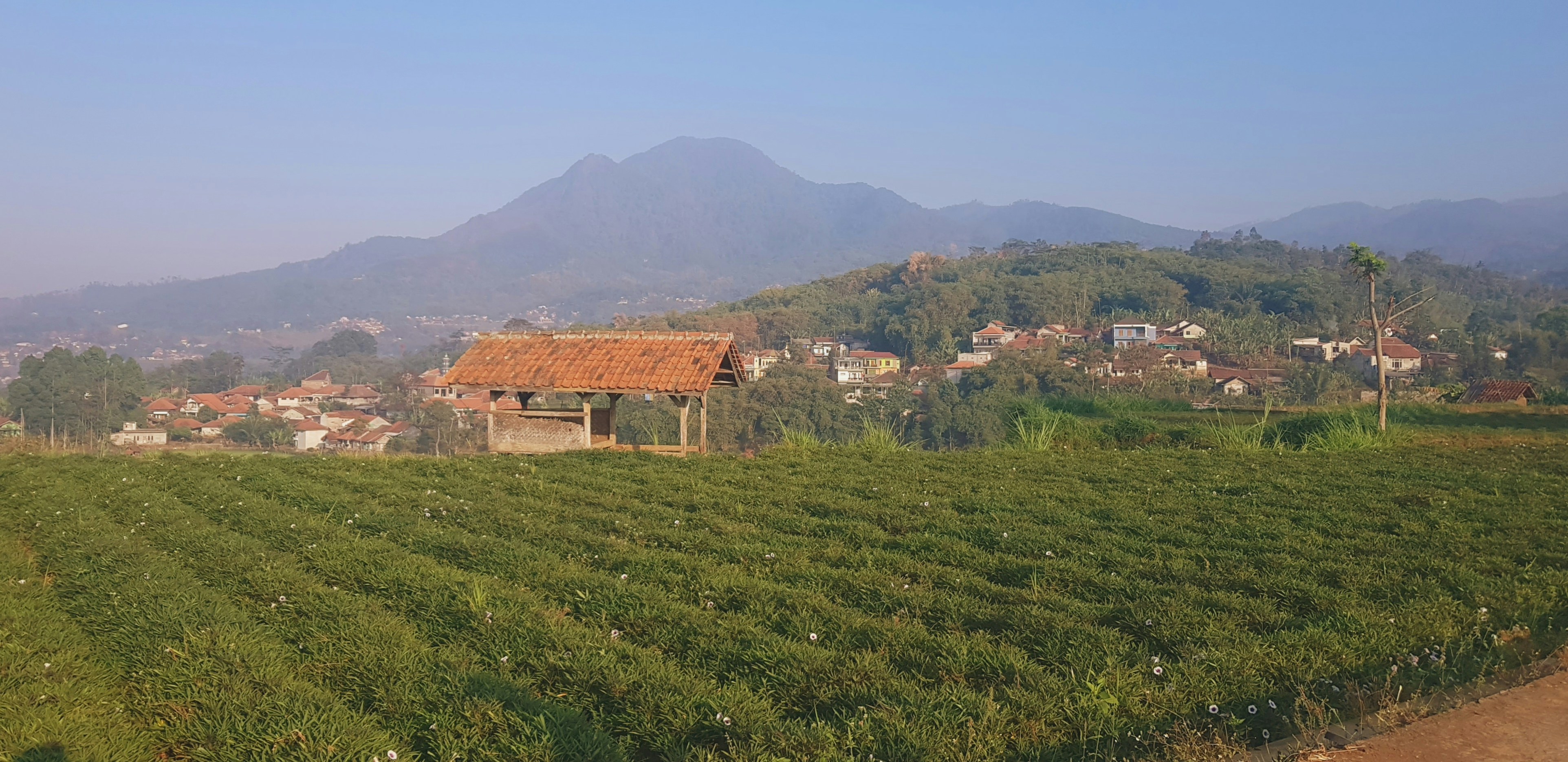 Fields at the Foot of Distant Peaks