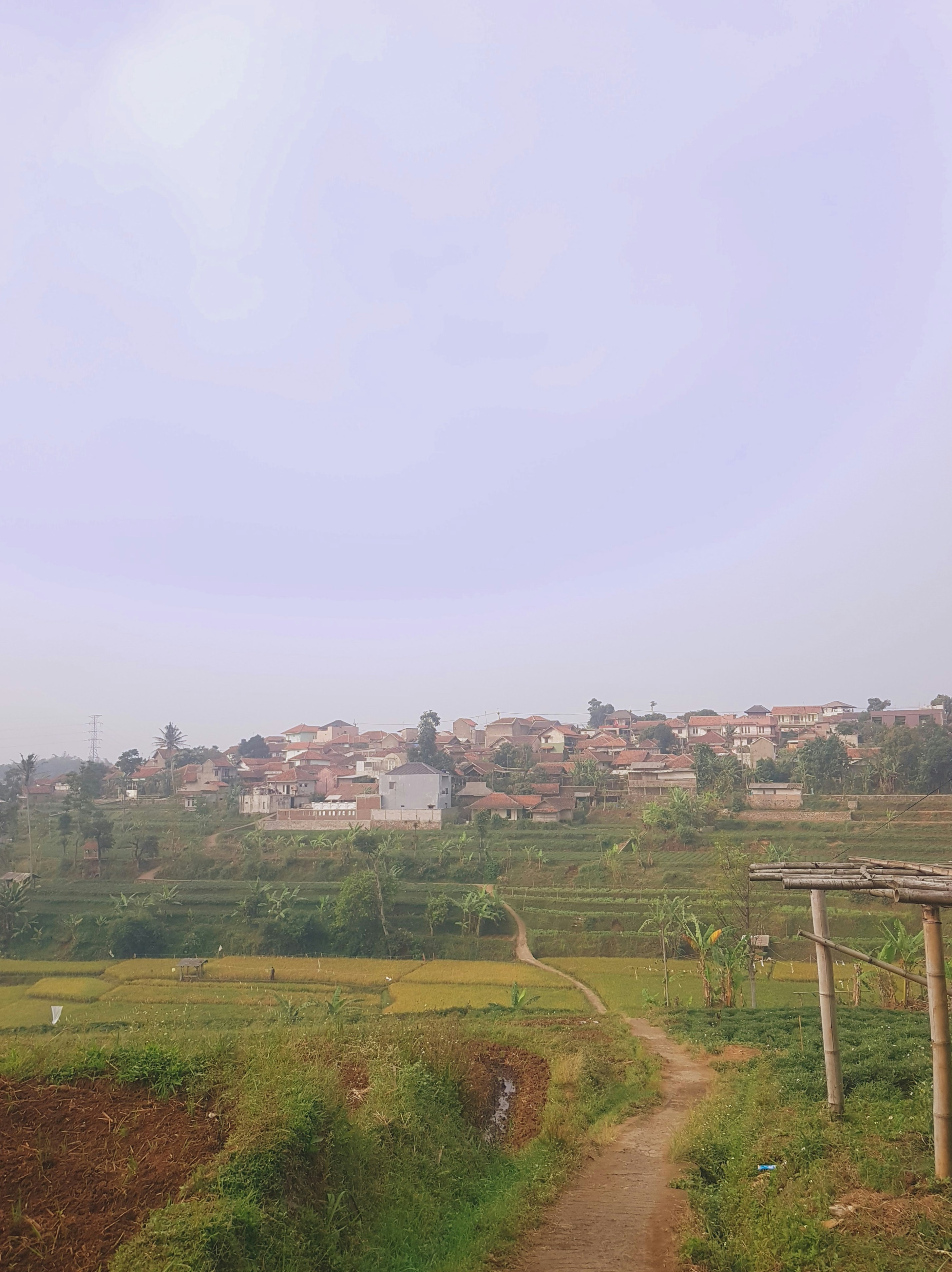 Rural Horizon: Terraced Fields Beneath a Pale Sky