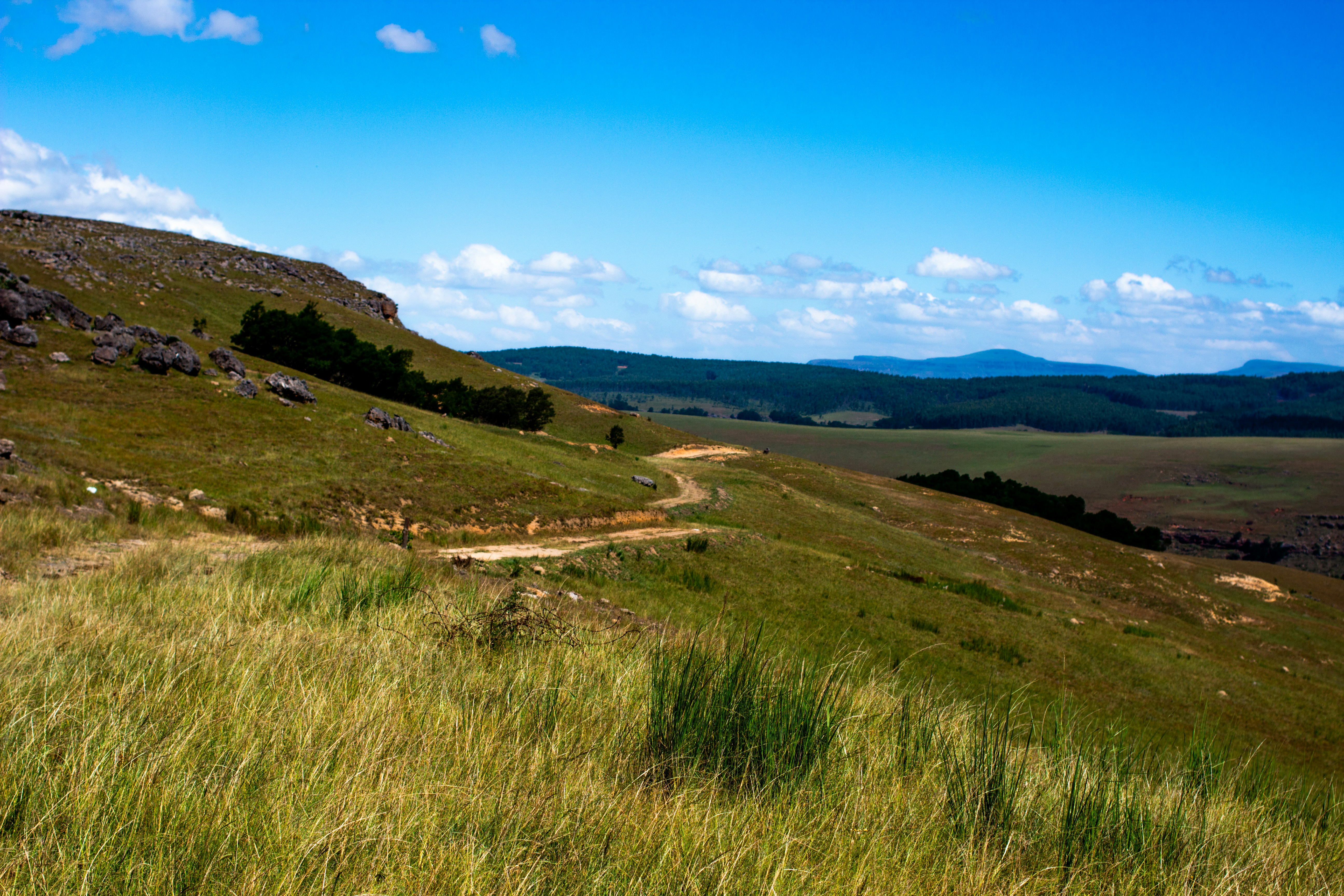 Rolling Hills Under a Clear Sky: A Golden Meadow Drive