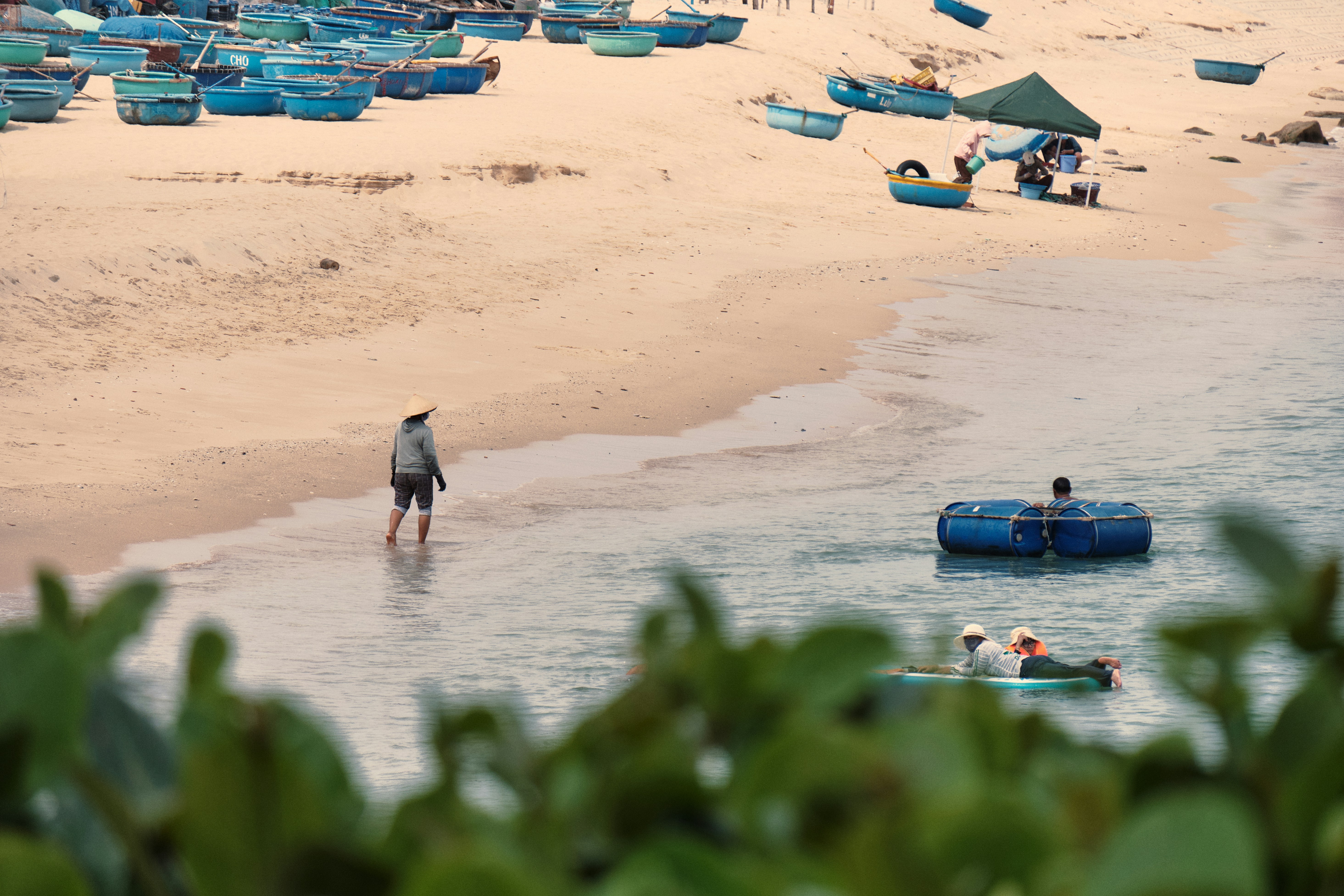 Footsteps at the Tide: A Quiet Moment by the Palm-Fringed Shore