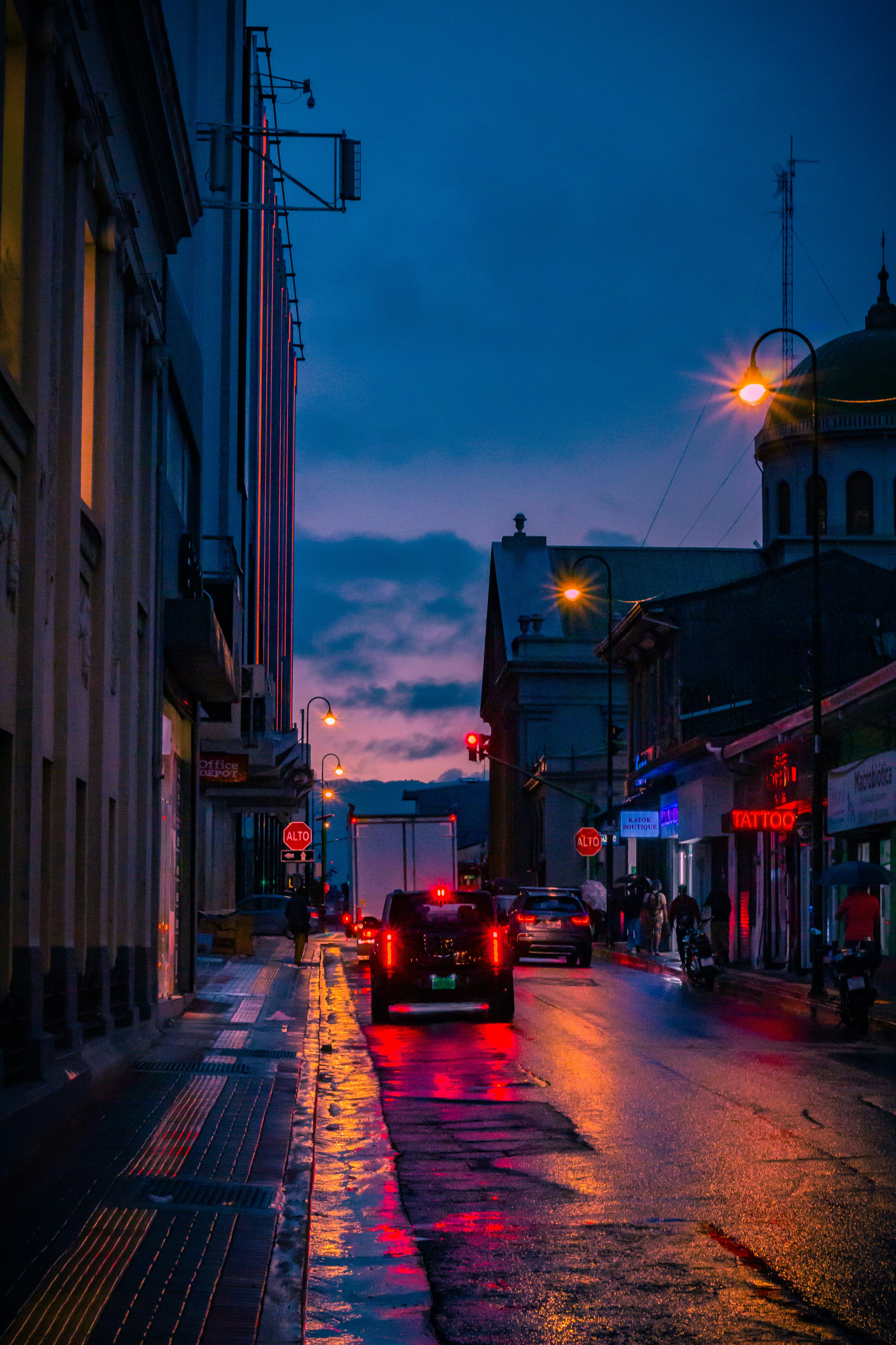Evening Street Pulse: Neon Reflections on a Rain-Slicked Canyon of Town