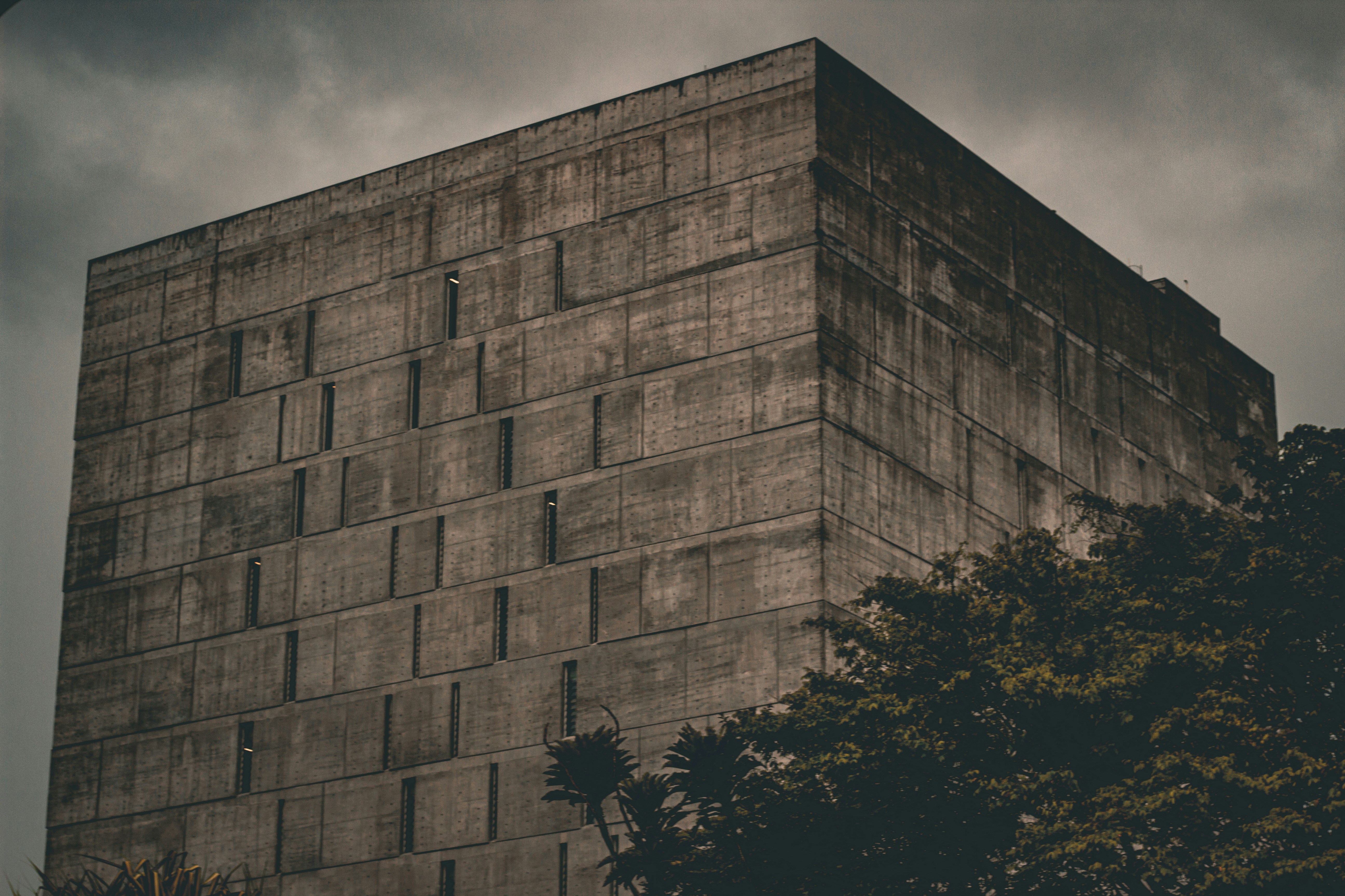 Concrete Giant Rising Over a Quiet Canopy