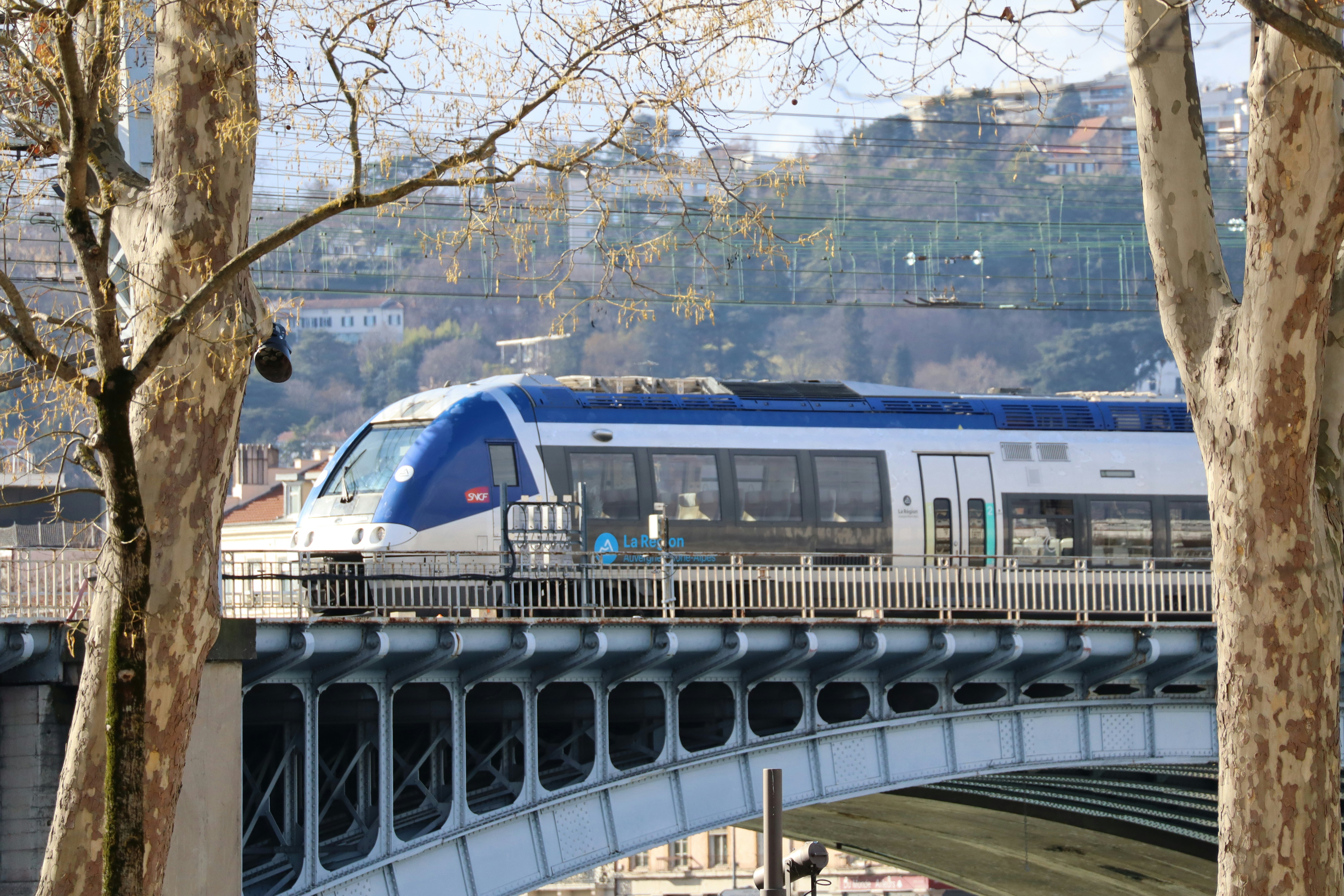 Blue Interlude: A Train glides over a sunlit iron bridge framed by trees