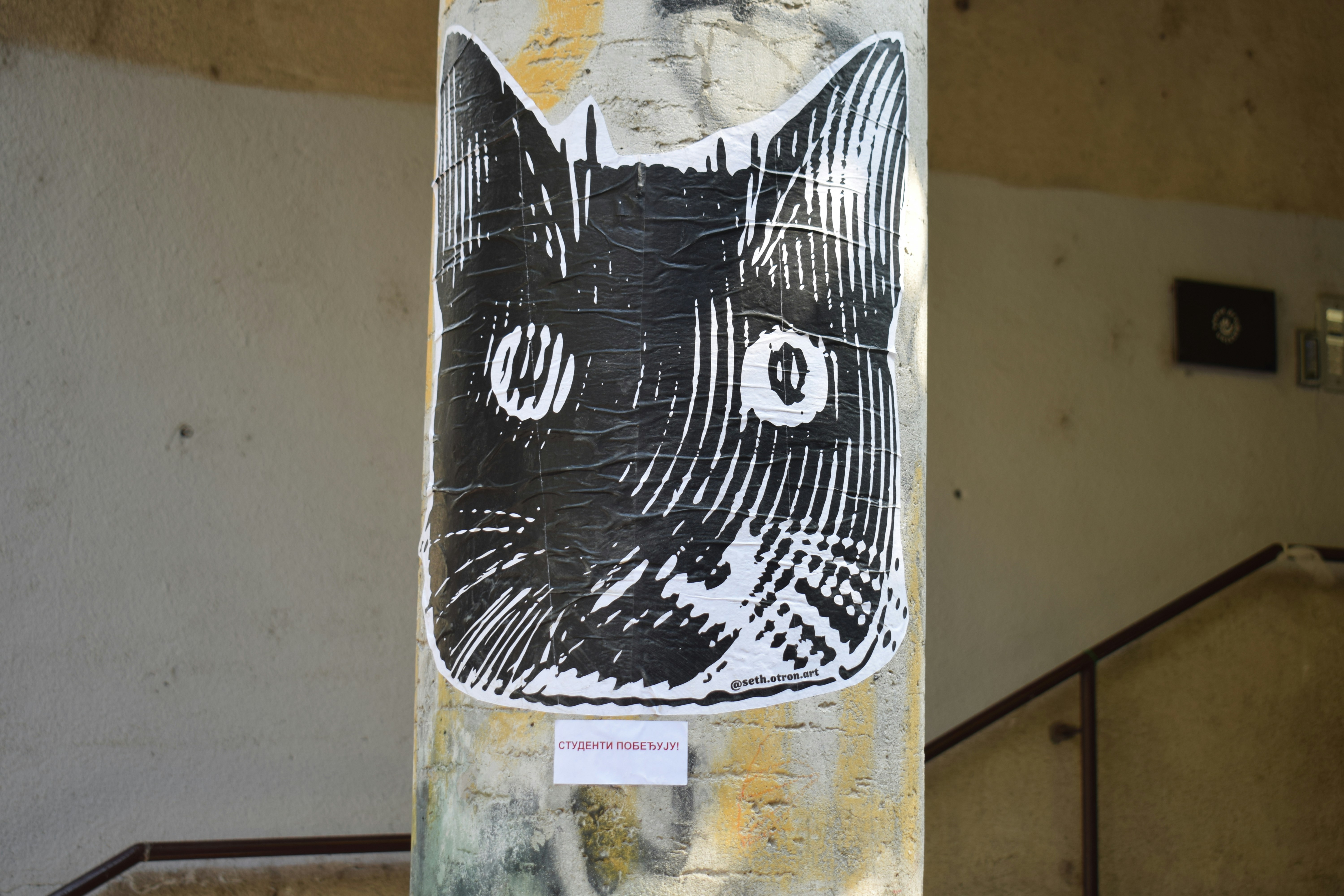 Ink Cat on a Concrete Pillar