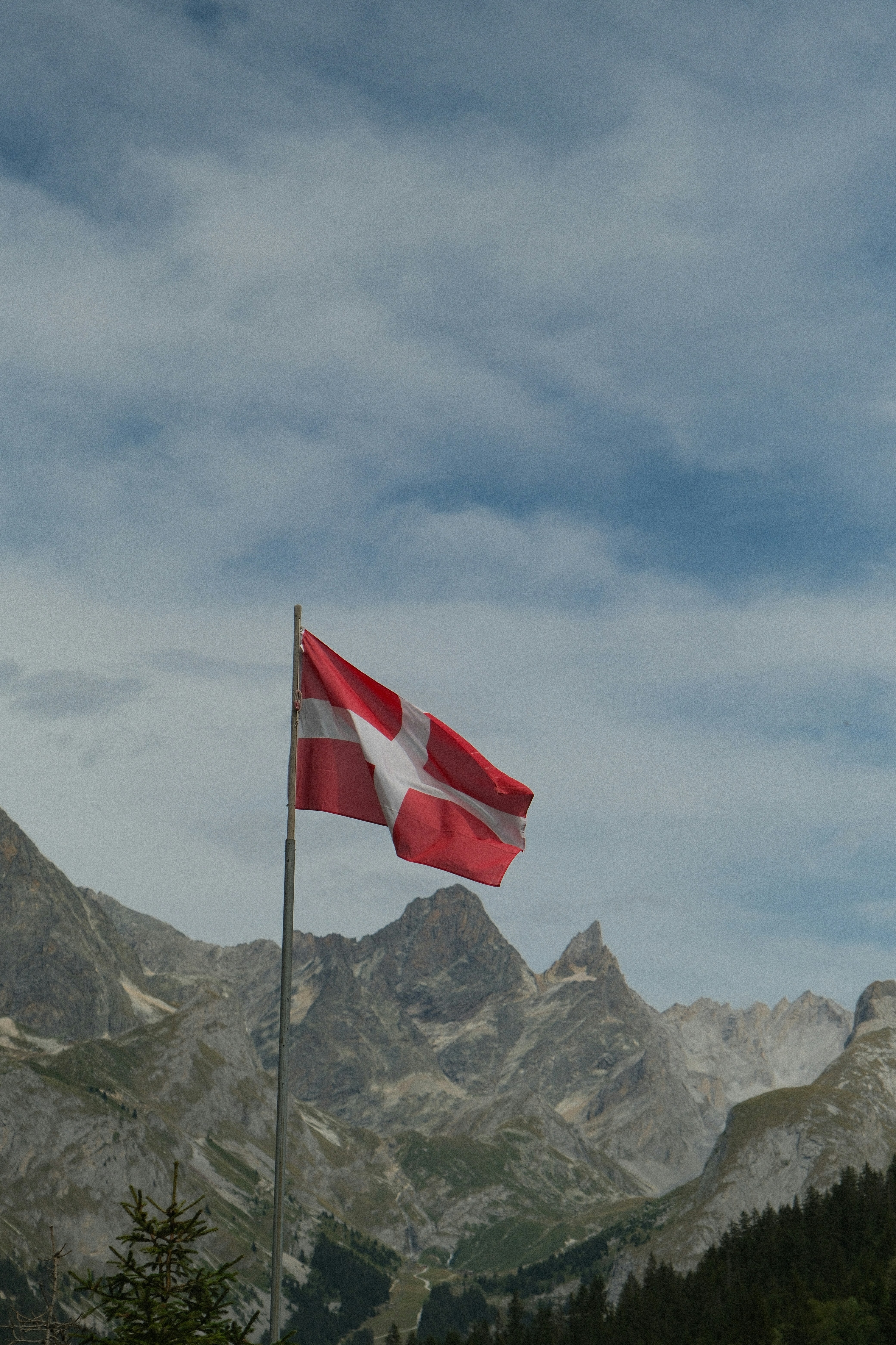 Flag Over Alpine Spine