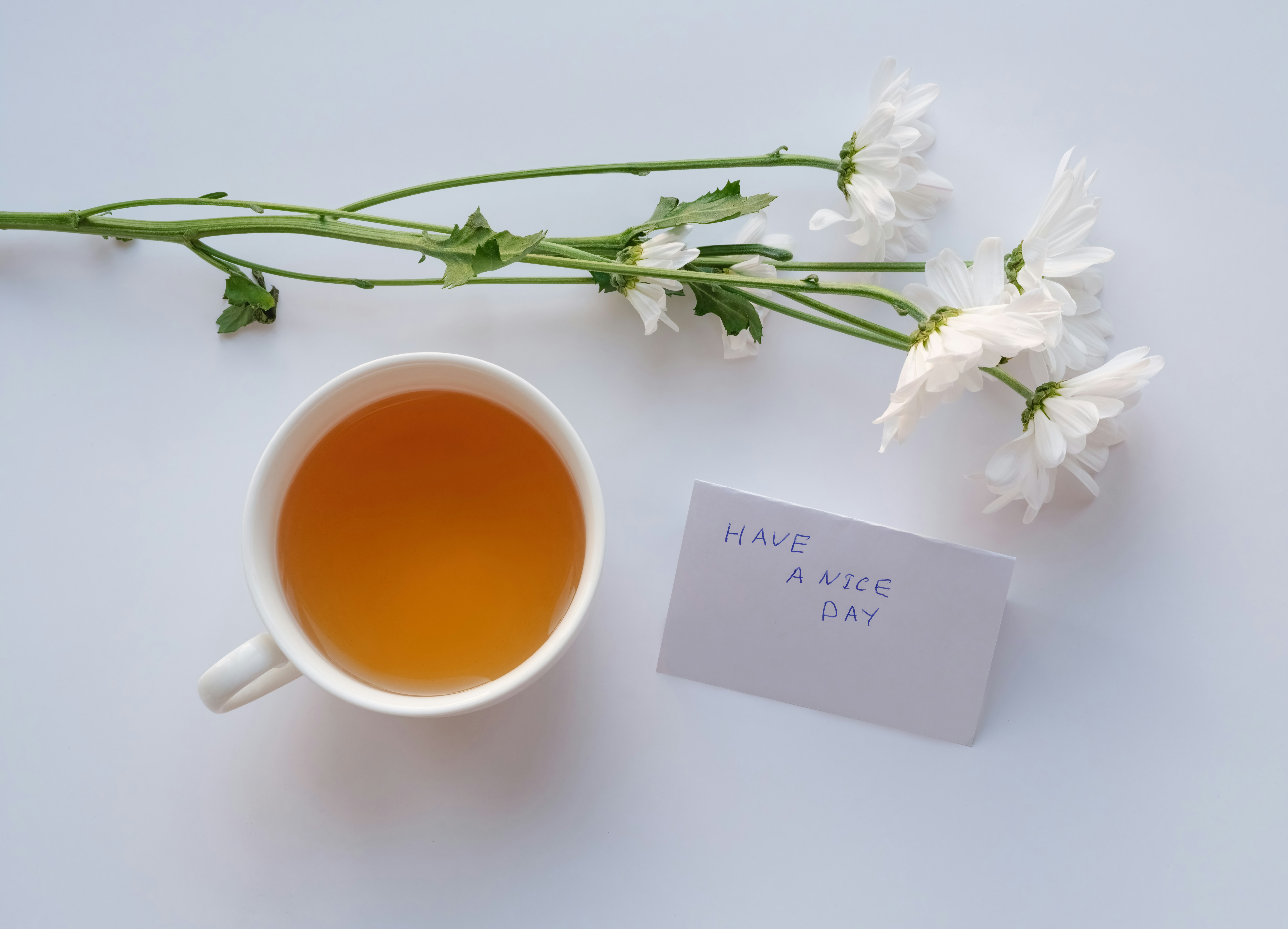Sunlit Cup and White Florals with a Gentle Day-note Card