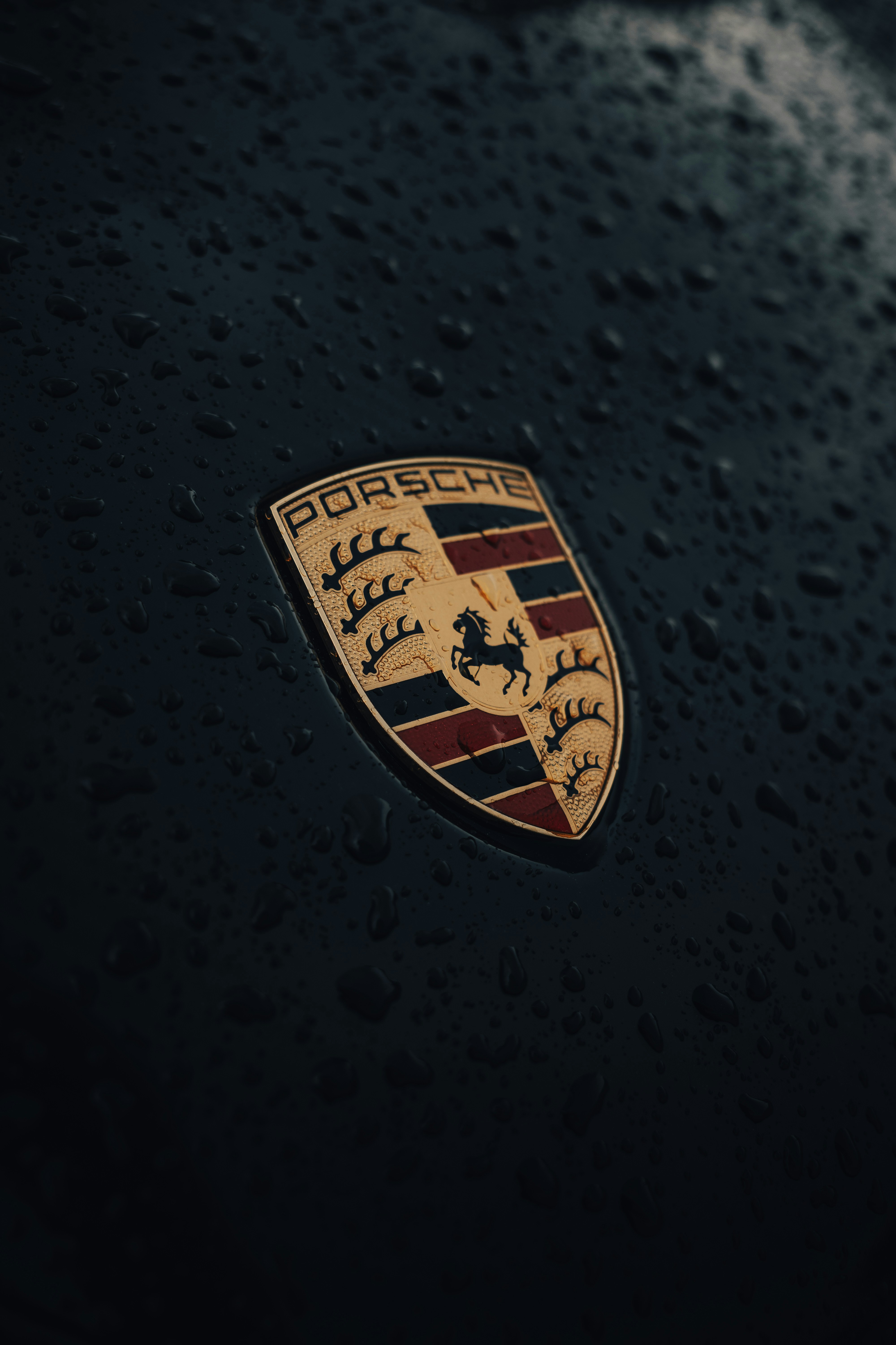 Emblem in the Rain: Porsche Shield Adrift on a Wet Surface