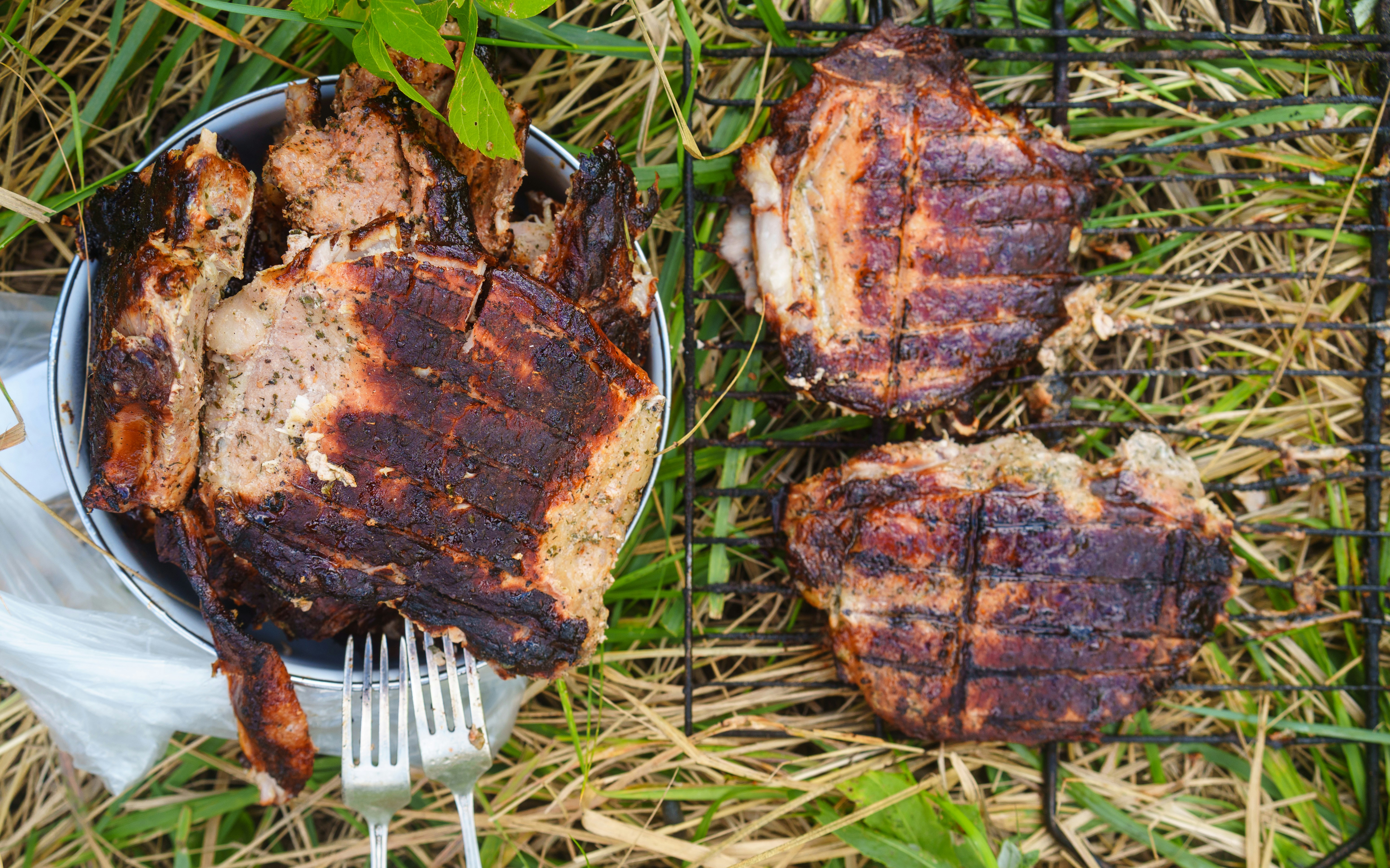 Charred Delights: Grilled Pork Reveals Rustic Picnic Stillness