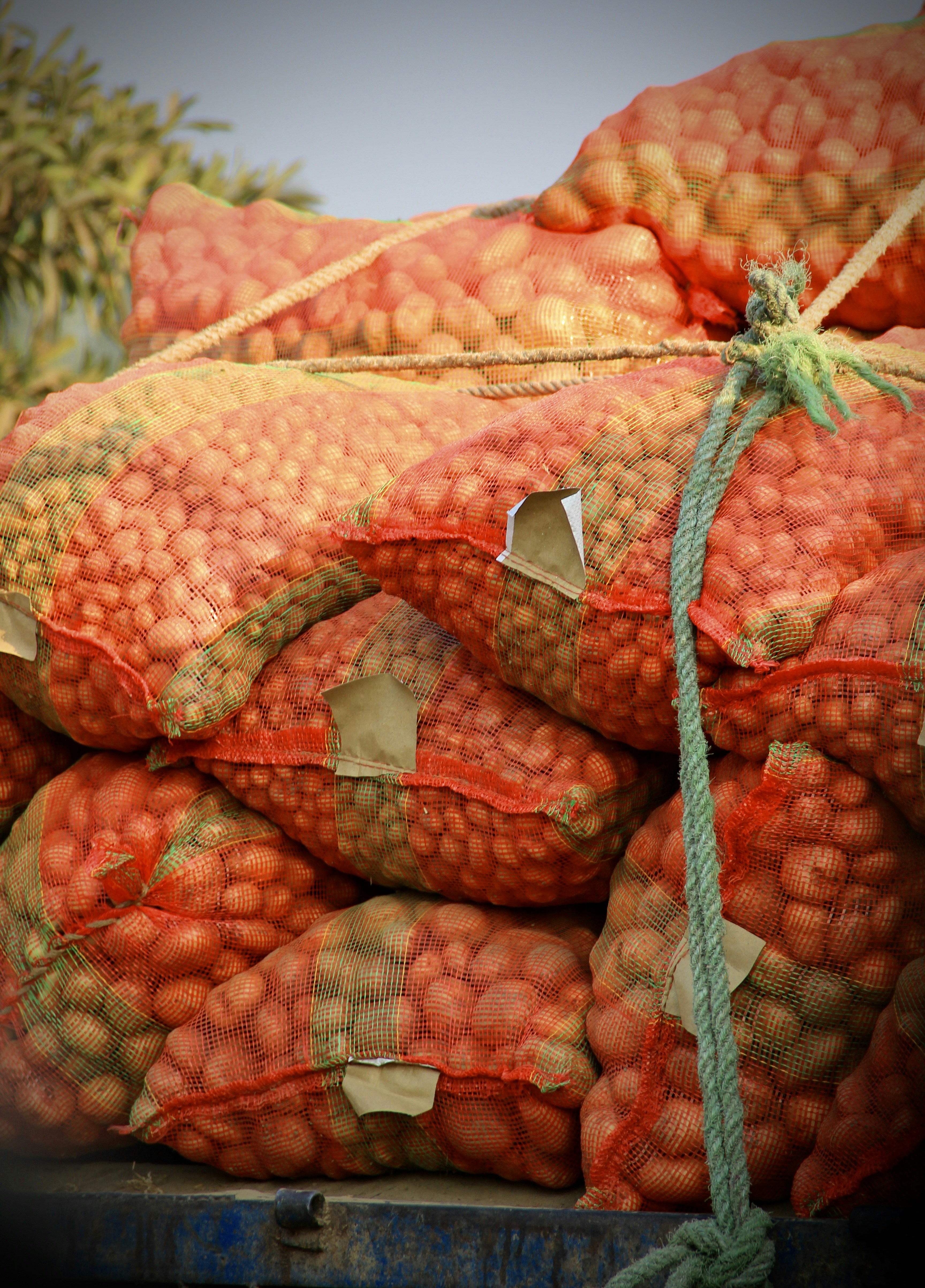 Red Netting Bounty: Stacked Produce Bags under Sunlit Sky