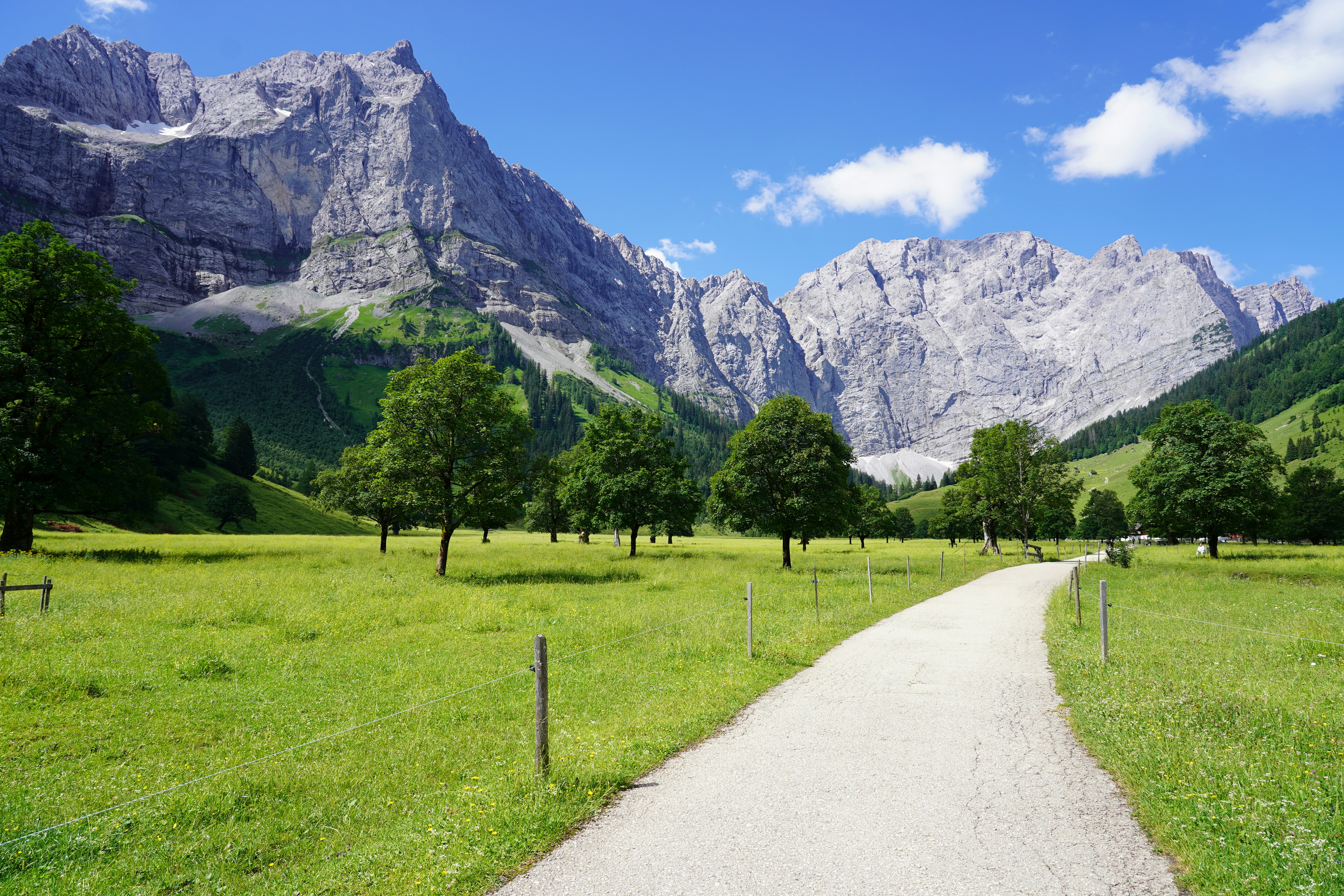 Valley Path Toward the Guardians: A Mountain Vista in Spring