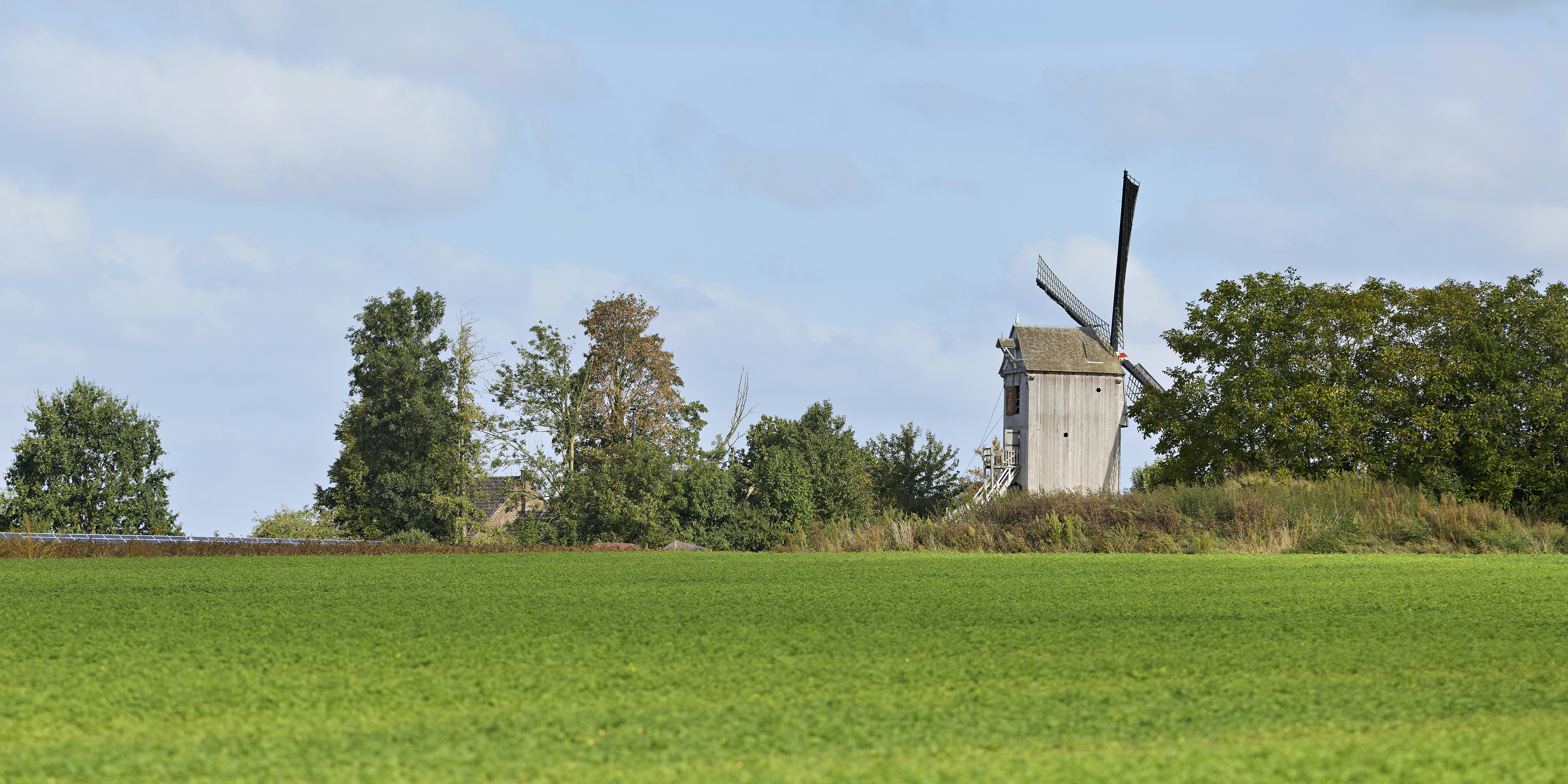 Windmill on the Horizon: A Quiet Dutch Field under a Wide Sky