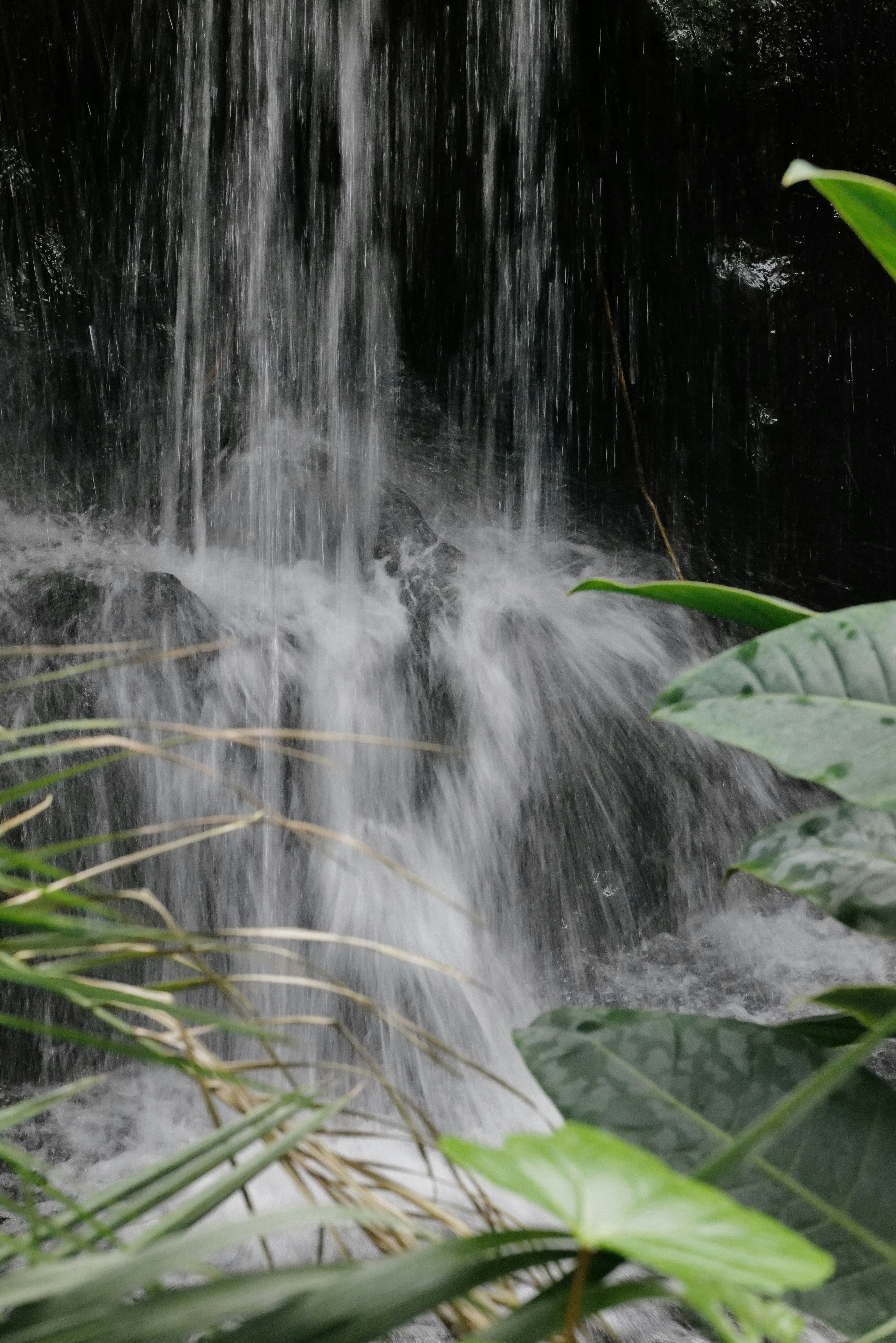 Waterfalls tumble over dark rock with lush green leaves framing the scene in a soft, natural frame.