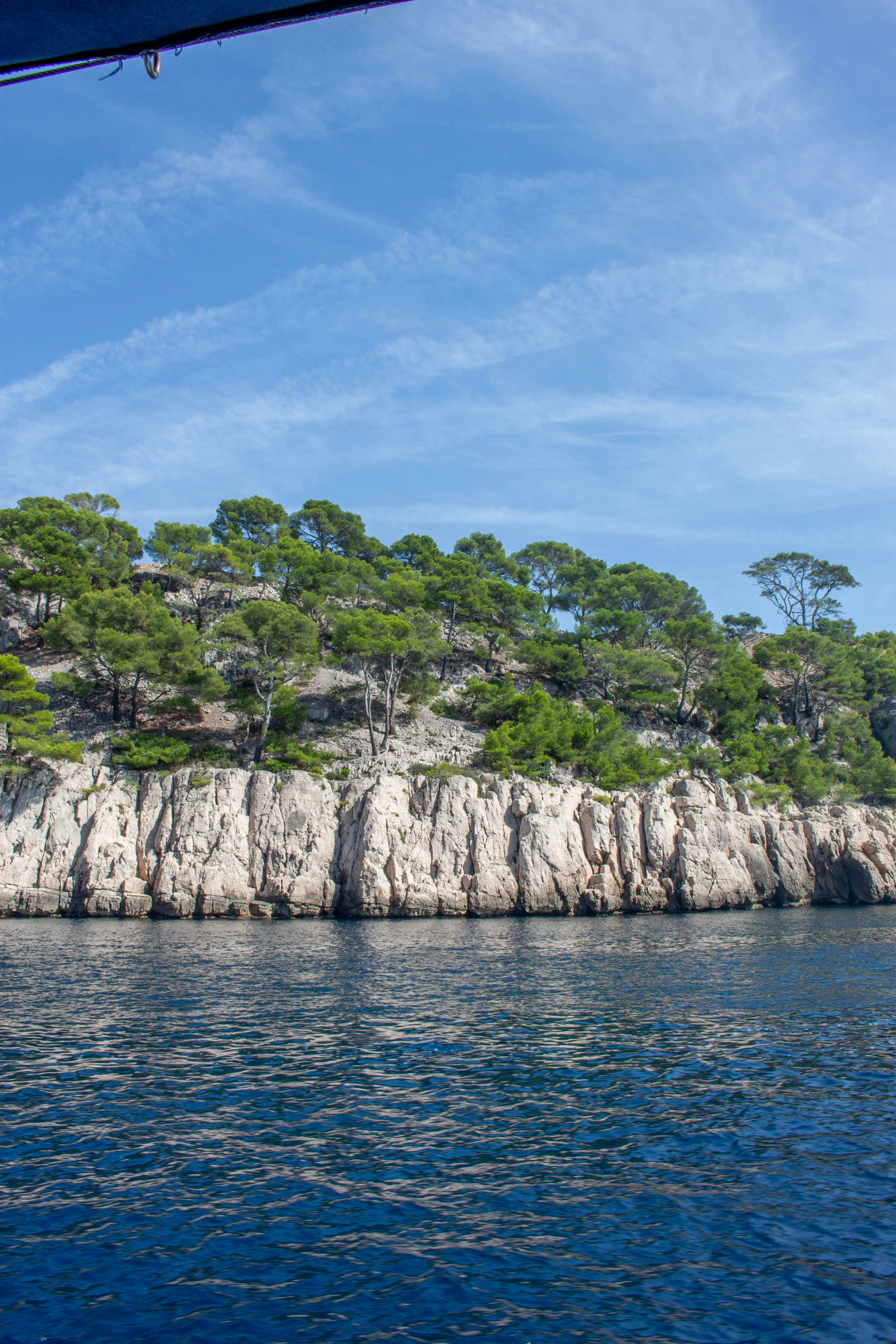 Coastal Cliffscape: Pines, Sea, and Sky from the Bow