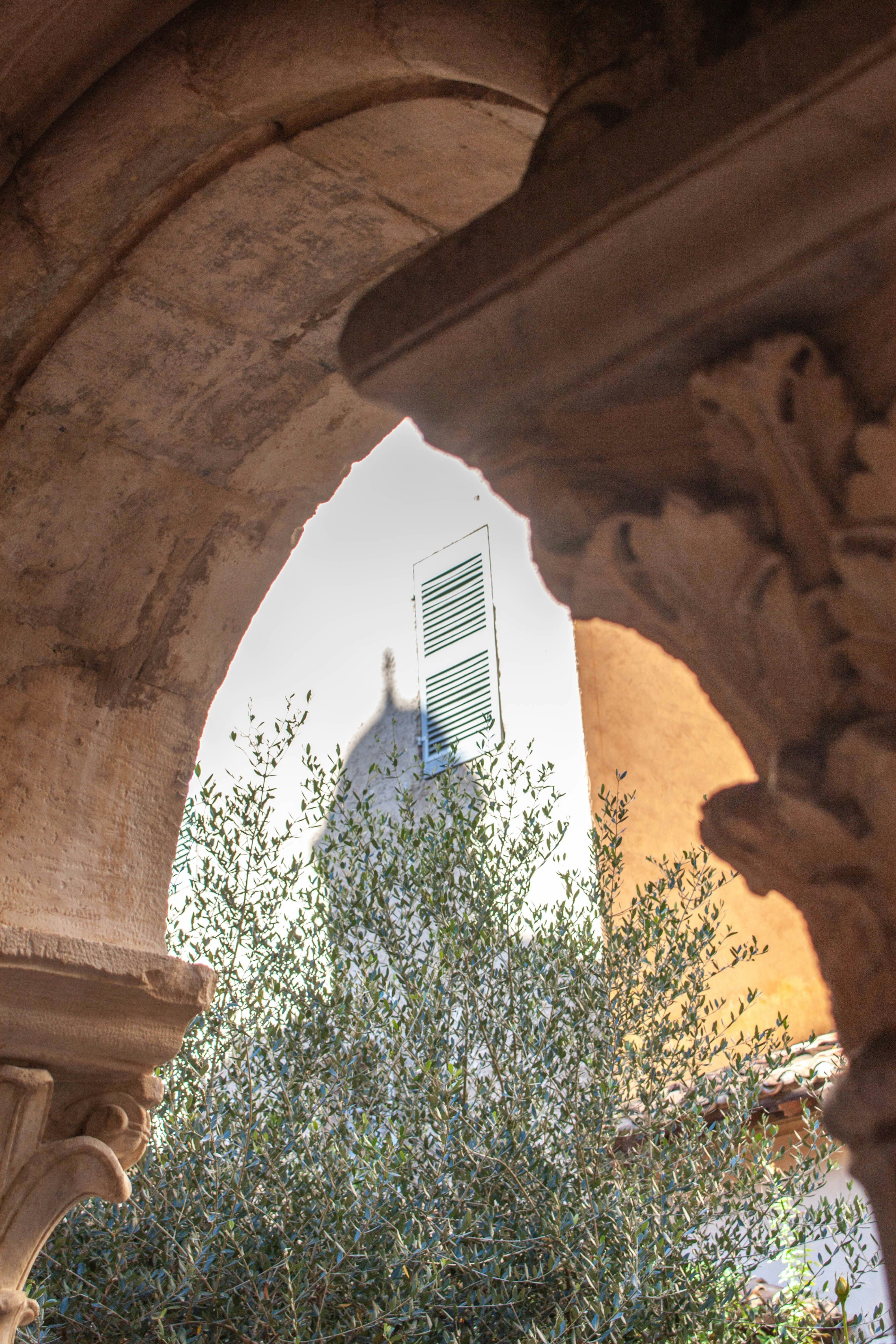 Archway Frame: Sunlit Olive Against Stone Carvings