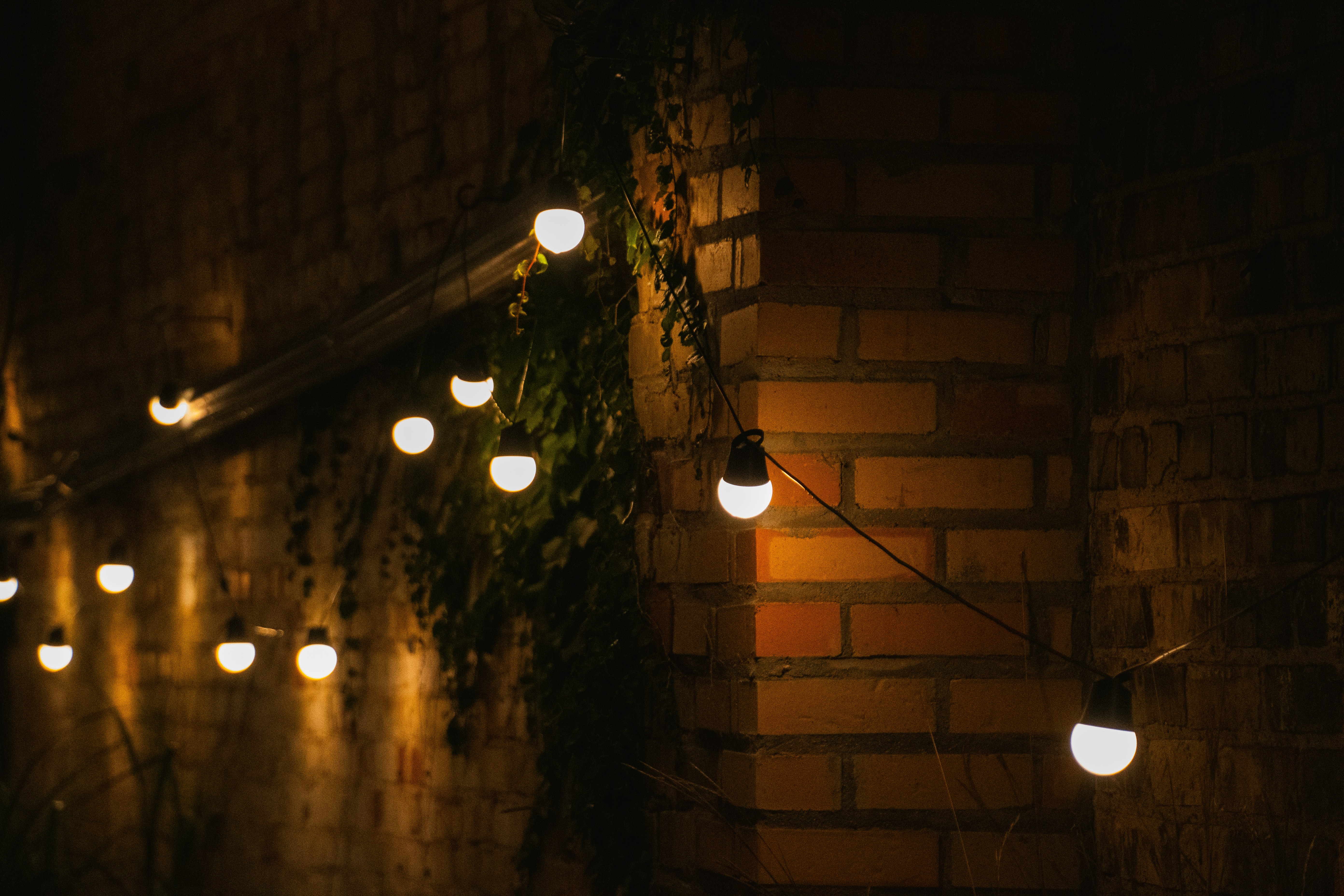 String lights glowing against a dark brick wall with climbing ivy