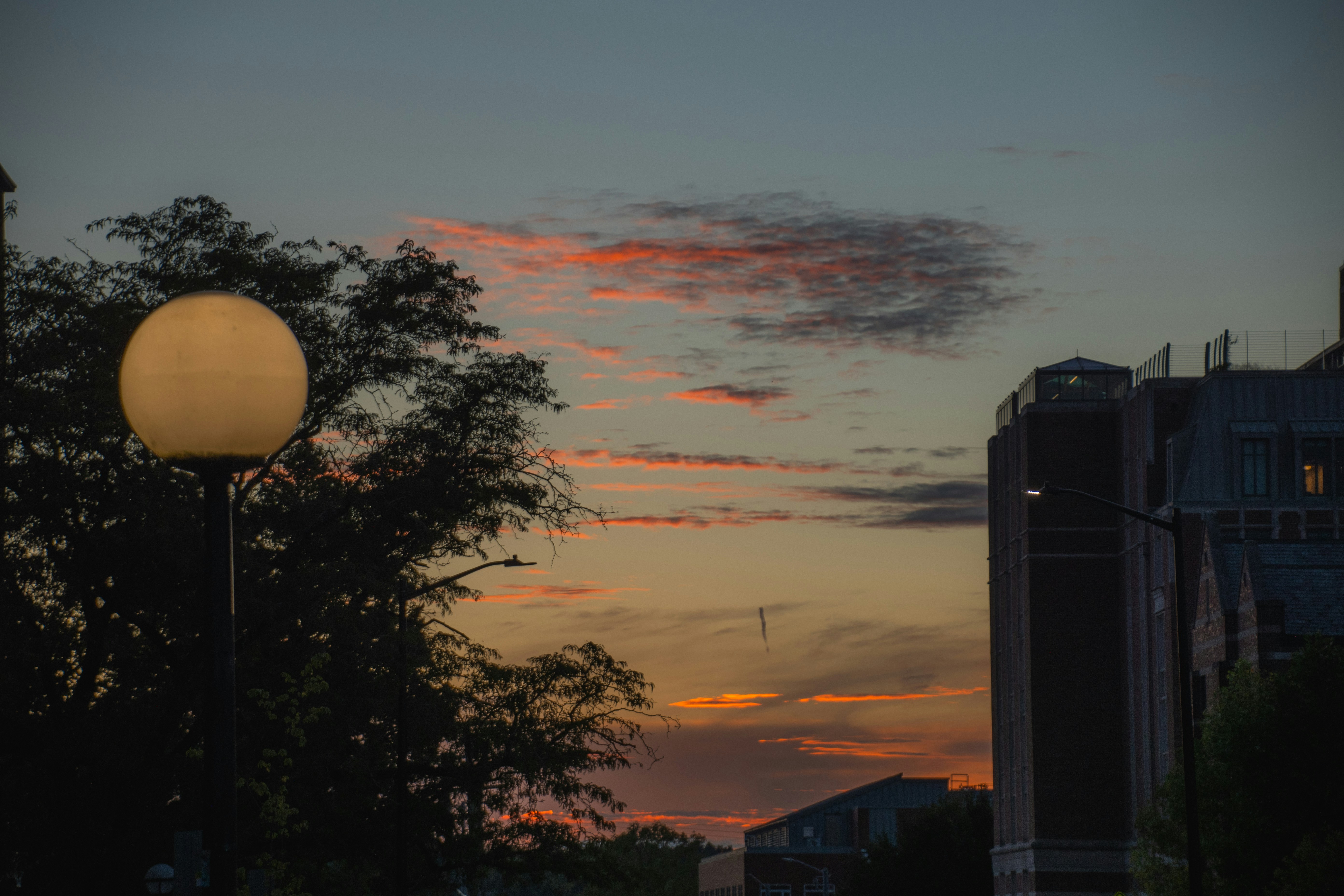 Sunset Over the City: A Quiet Glow by the Street Lamp