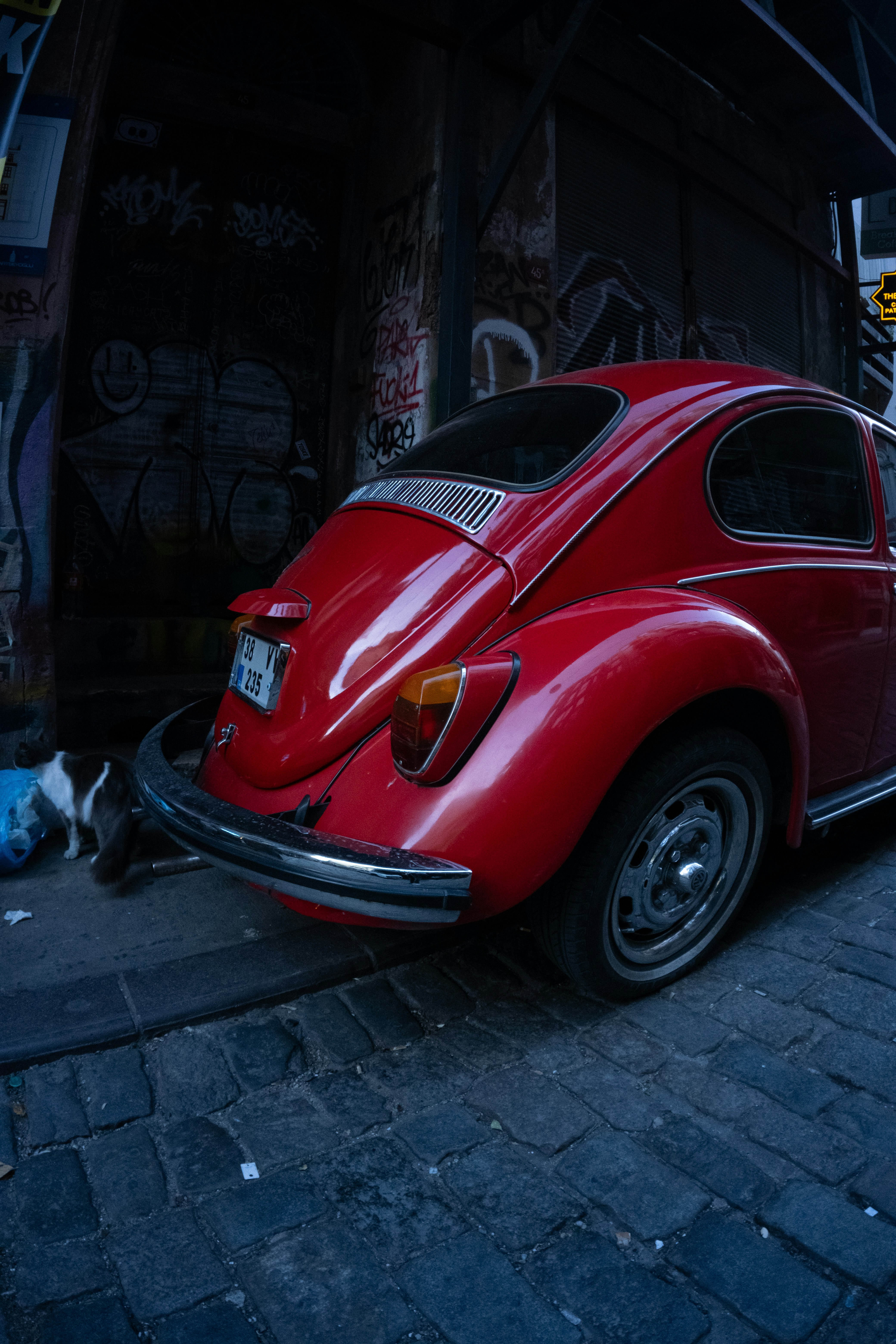 Red Beetle on a Cobblestone Street: Quiet Urban Decay