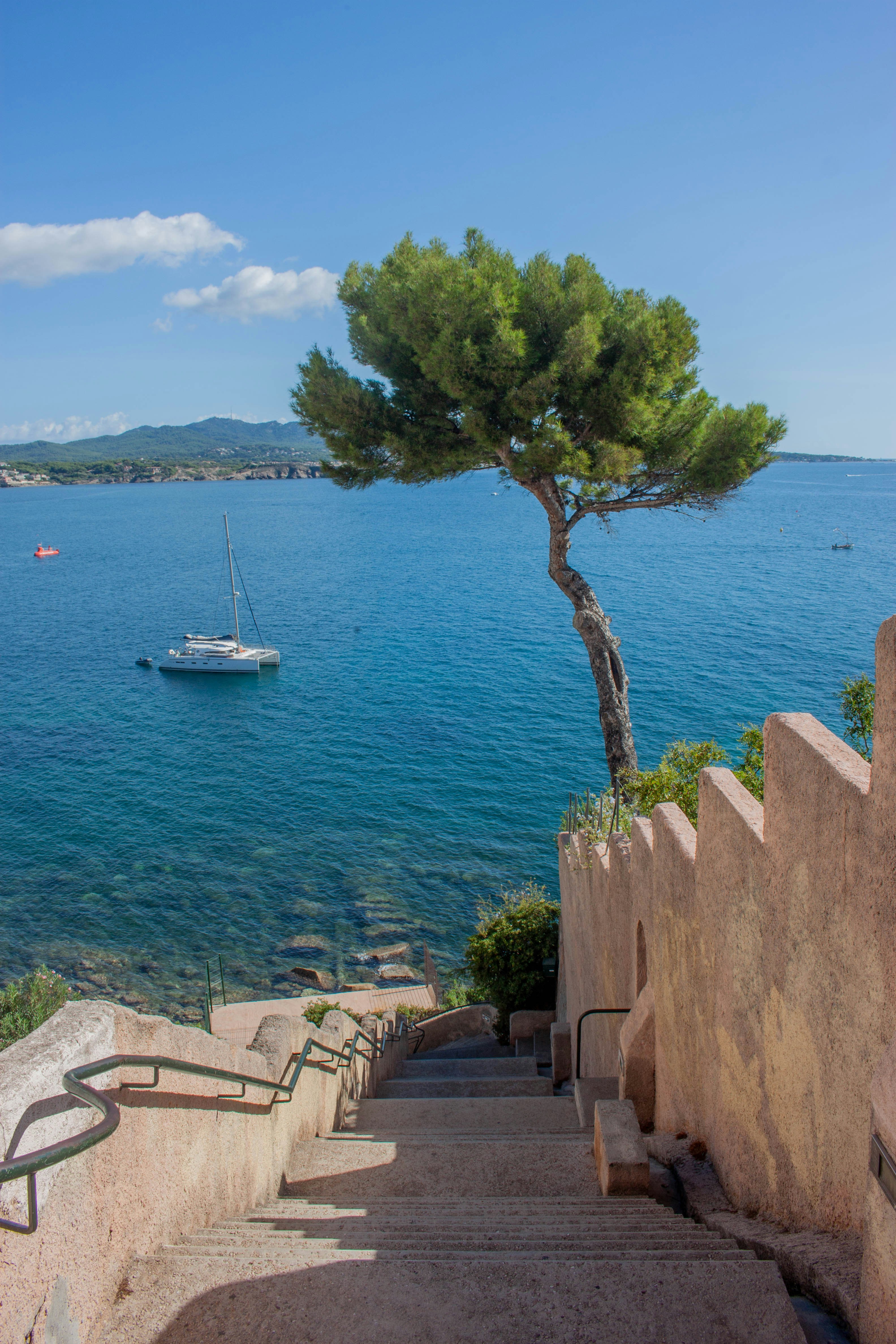 Lone Pine and Ocean Steps: A Coastal Staircase Toward Serenity
