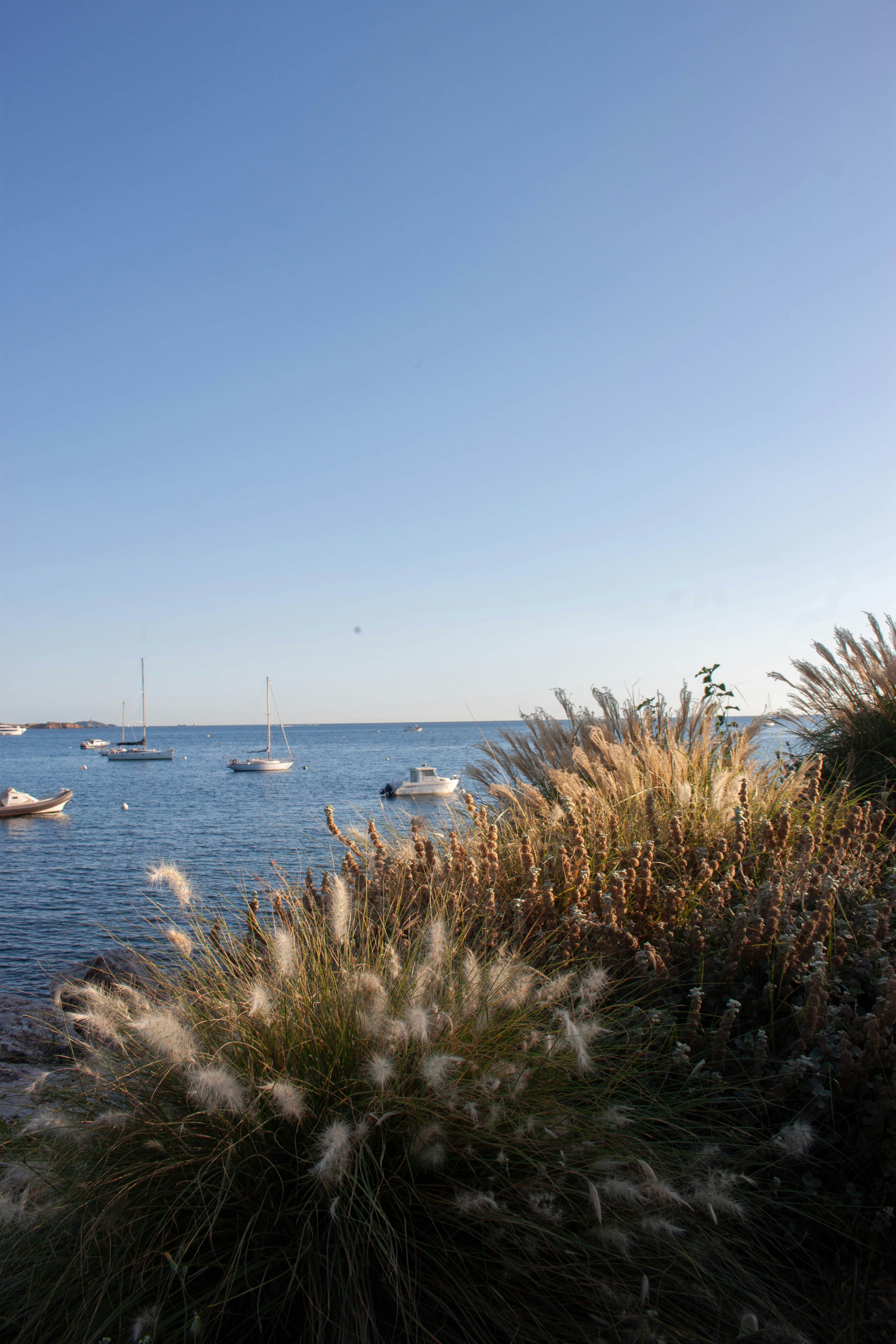 Coastal Quiet: Boats at Dusk Among Tall Seagrass