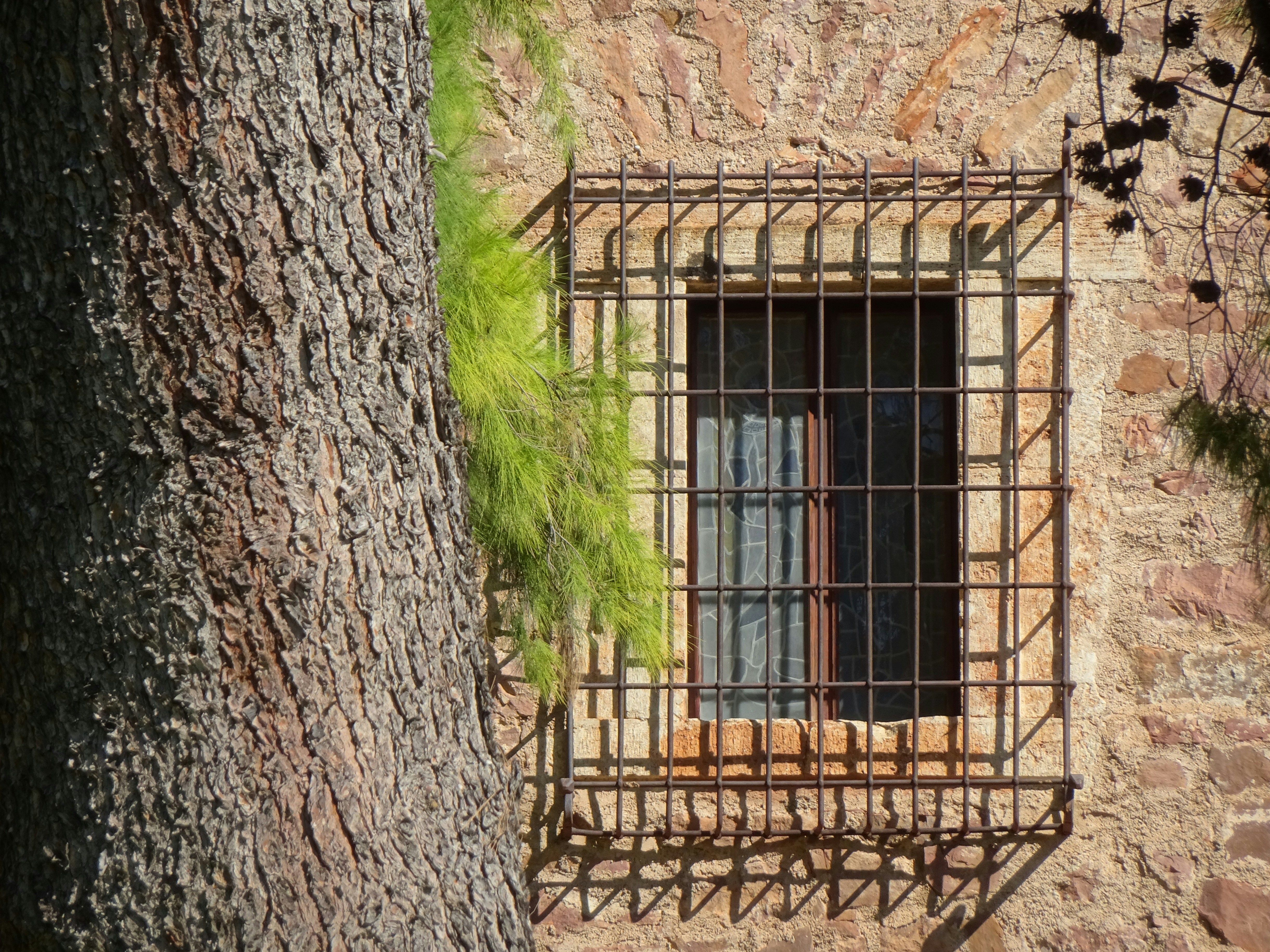 Gridded Window Behind Rustic Wall