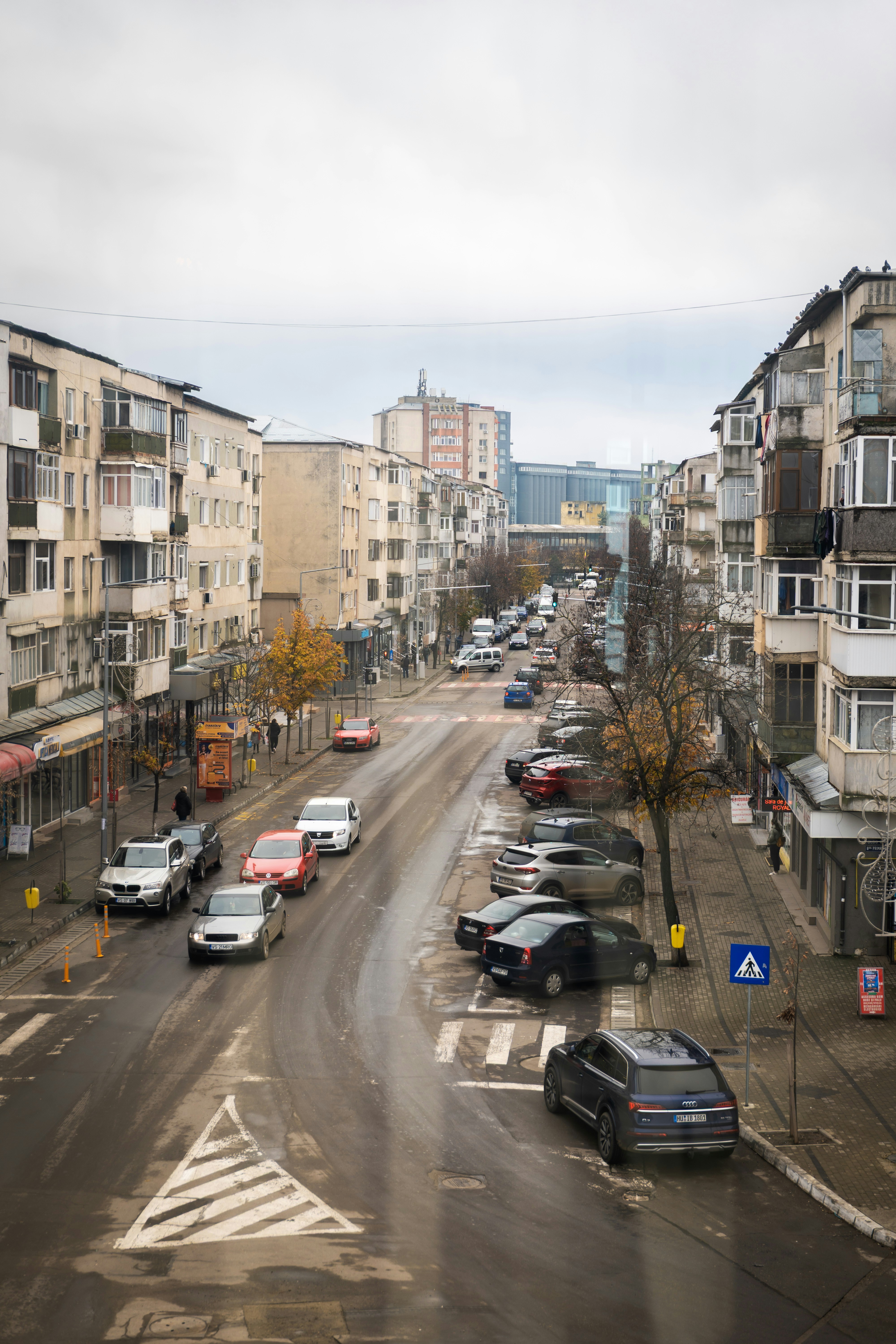 Urban Avenue: Cars, Crosswalks, and Autumn Light Down a Quiet Street