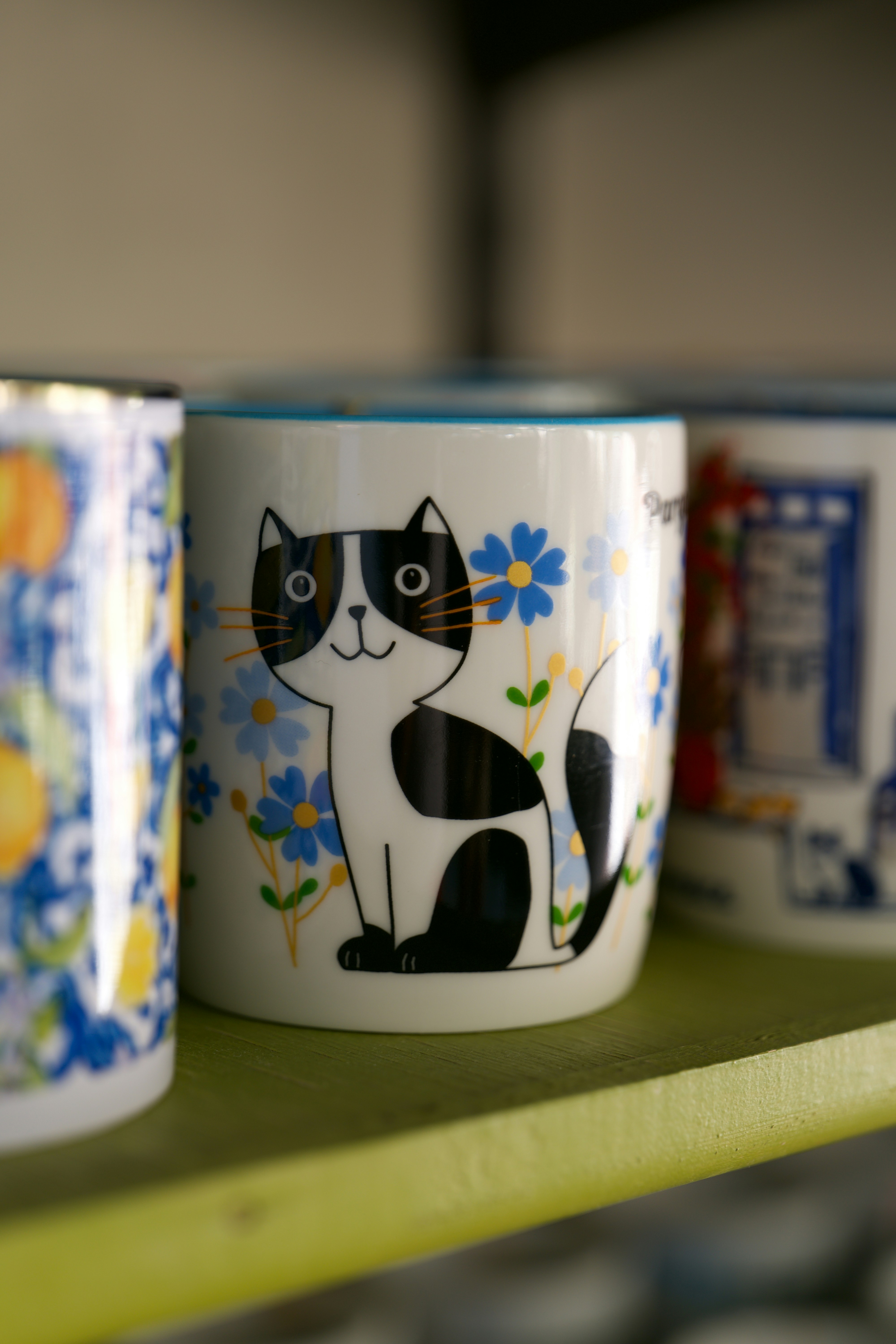 Ceramic Cat Mug in a Row of Colorful Mugs