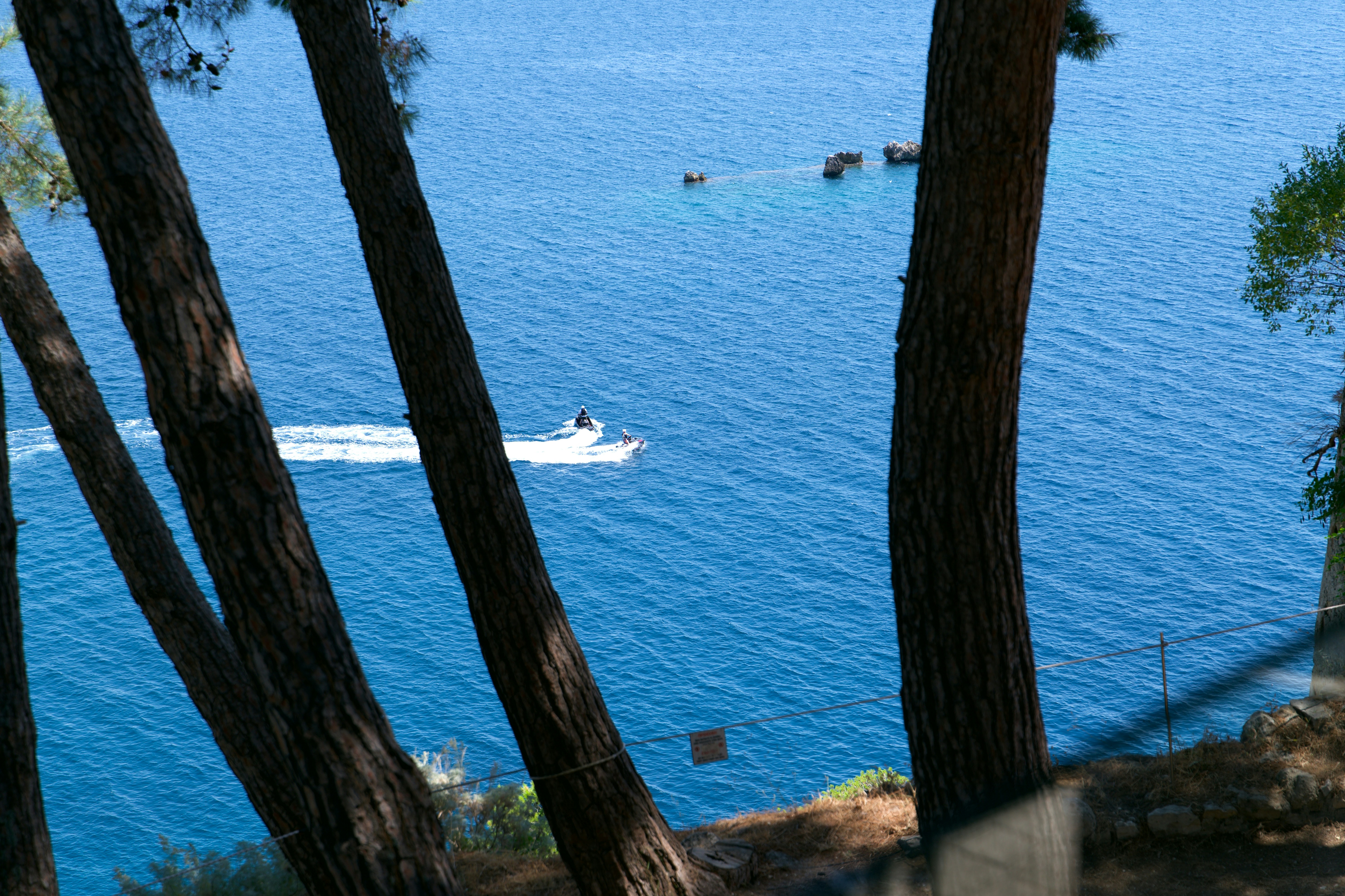 Blue Sea Through the Trees: A Seaside Arc Seen from the Shore