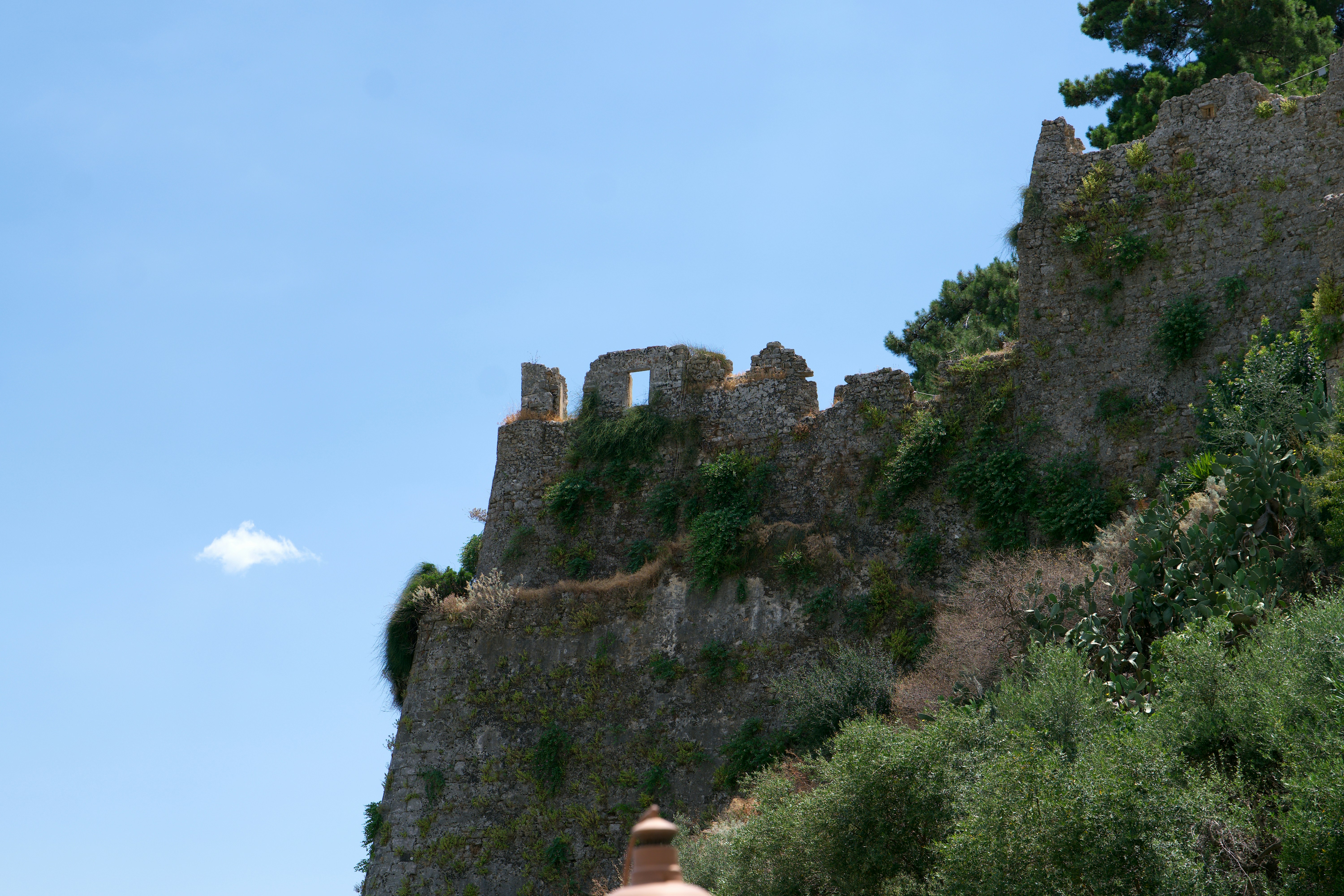 Ruins Above the River: Sunlit Stones and Green Vines