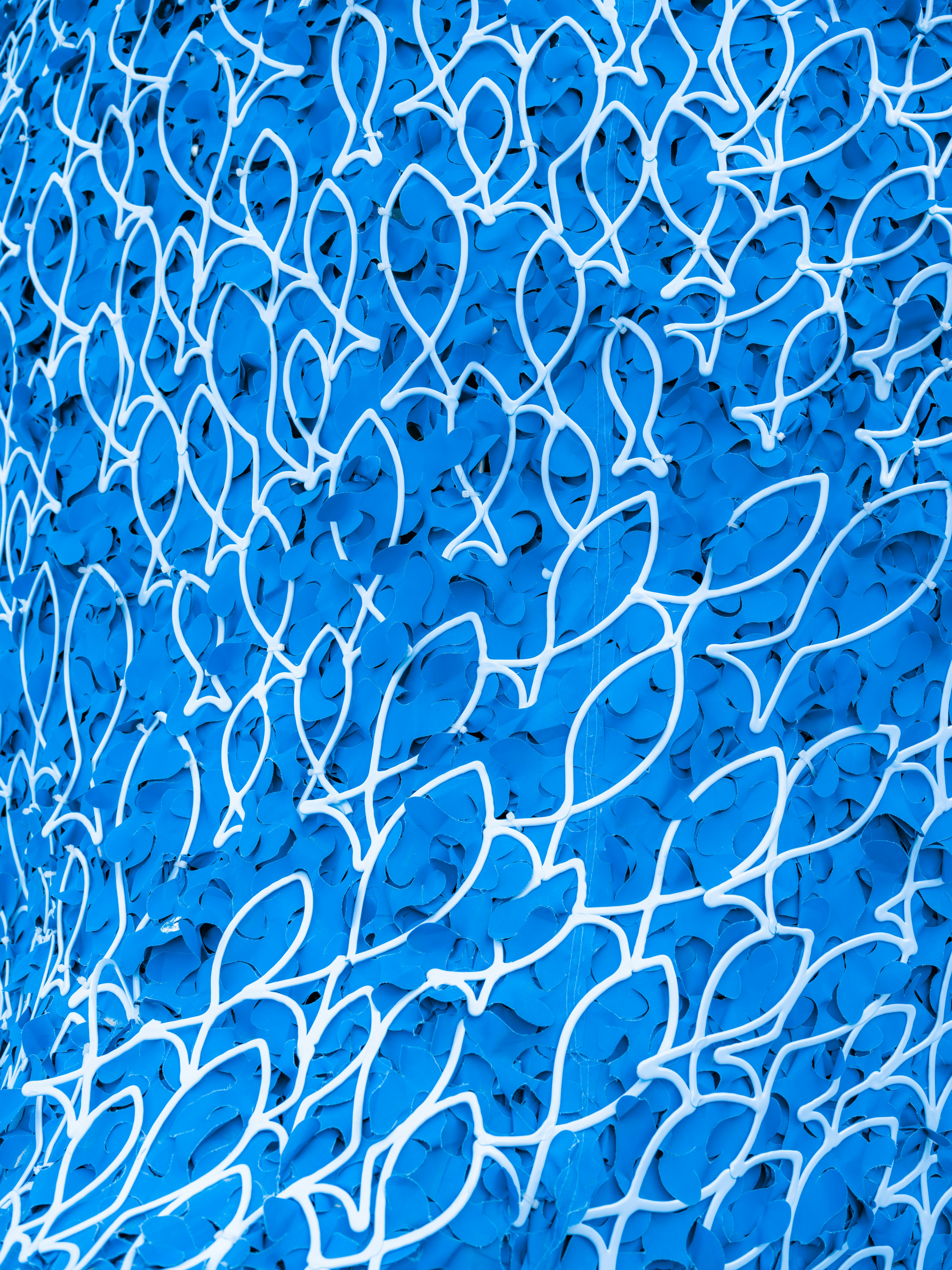 Blue Lattice: an endless tangle of white loops
