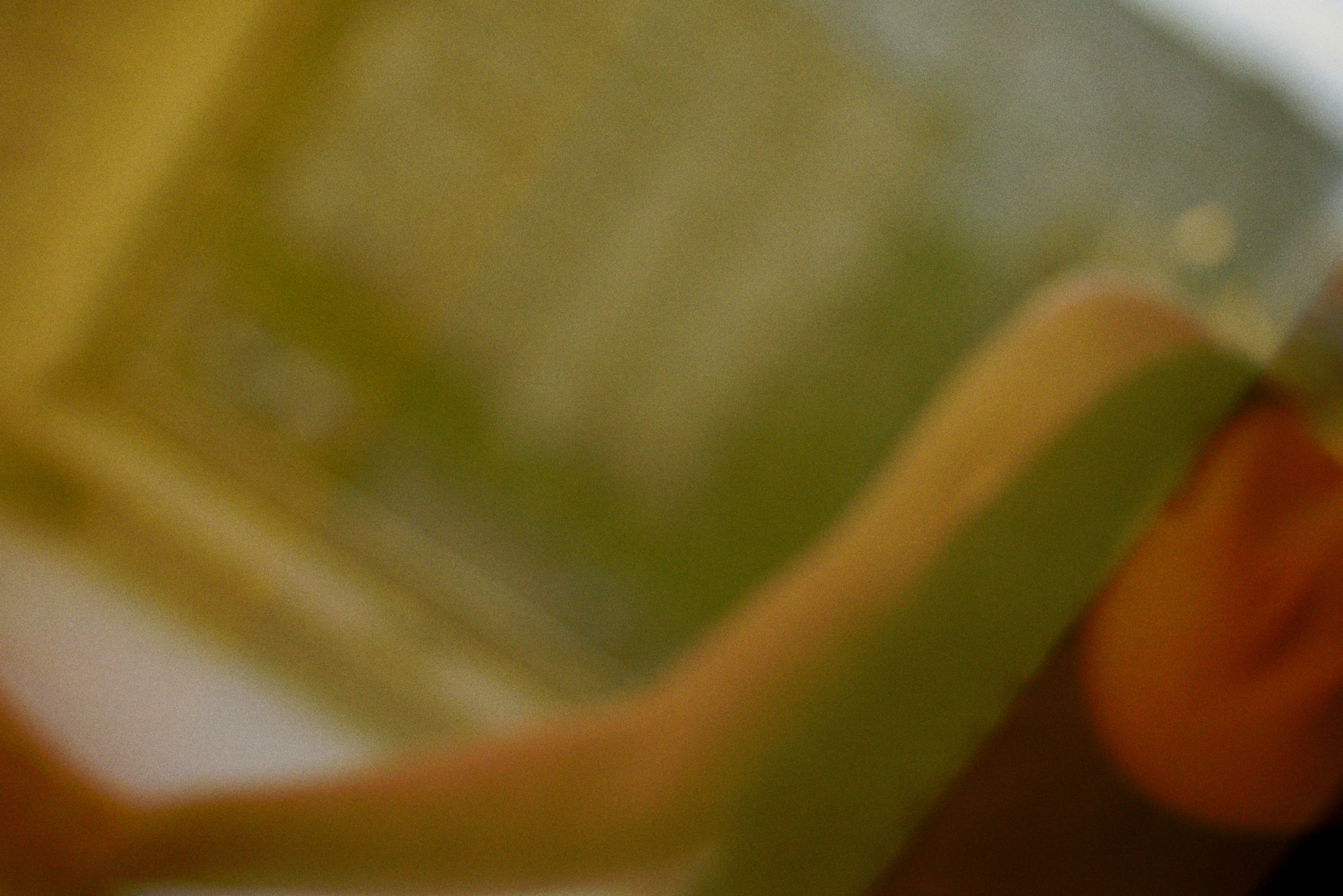 Blurred Intimacy: A Soft Glimpse Through a Tilted Frame