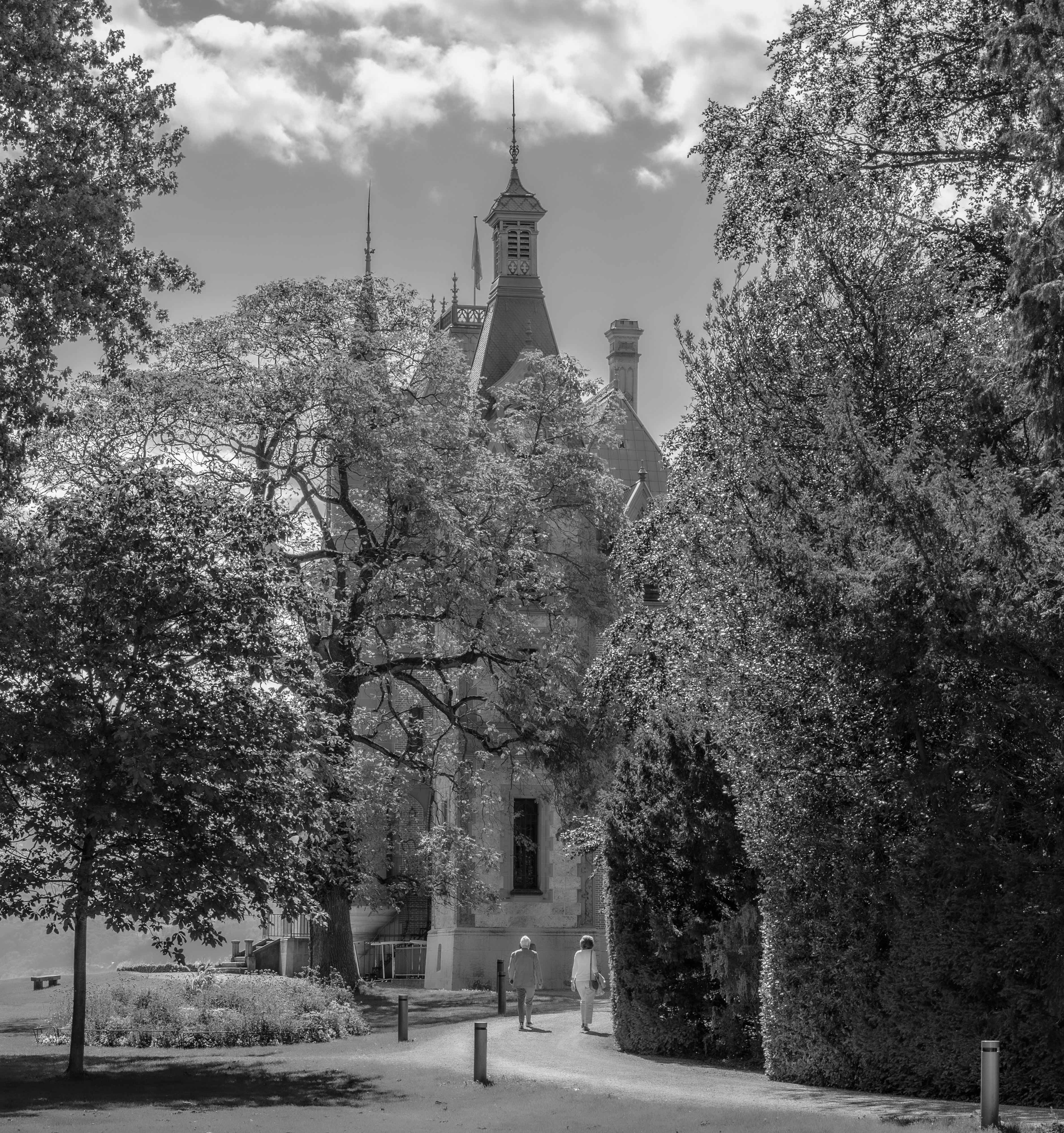Castle in the Shade: A Quiet Corner of the Tree‑Lined Courtyard