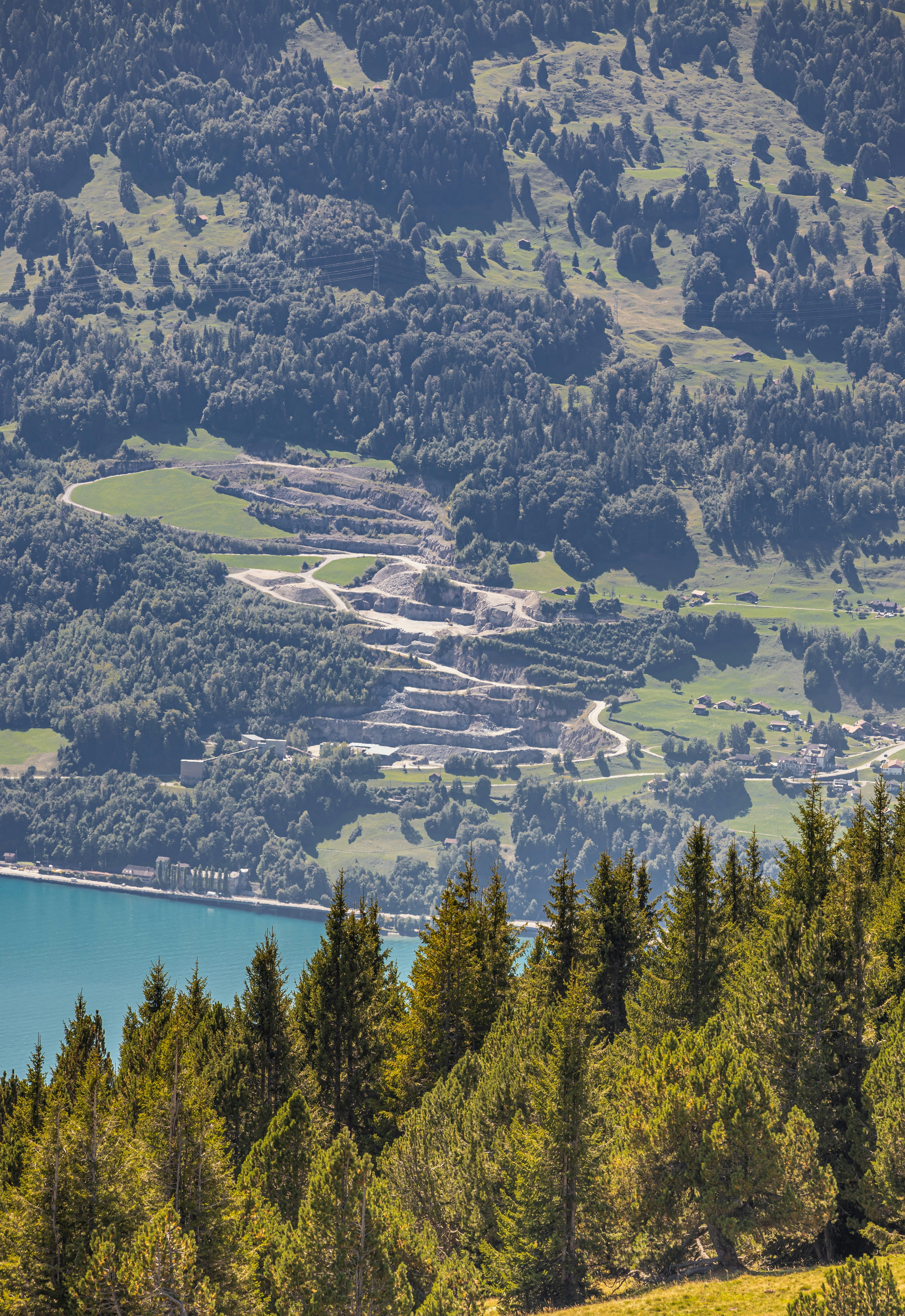 Terraced hillside by a glacial lake framed by pine forest