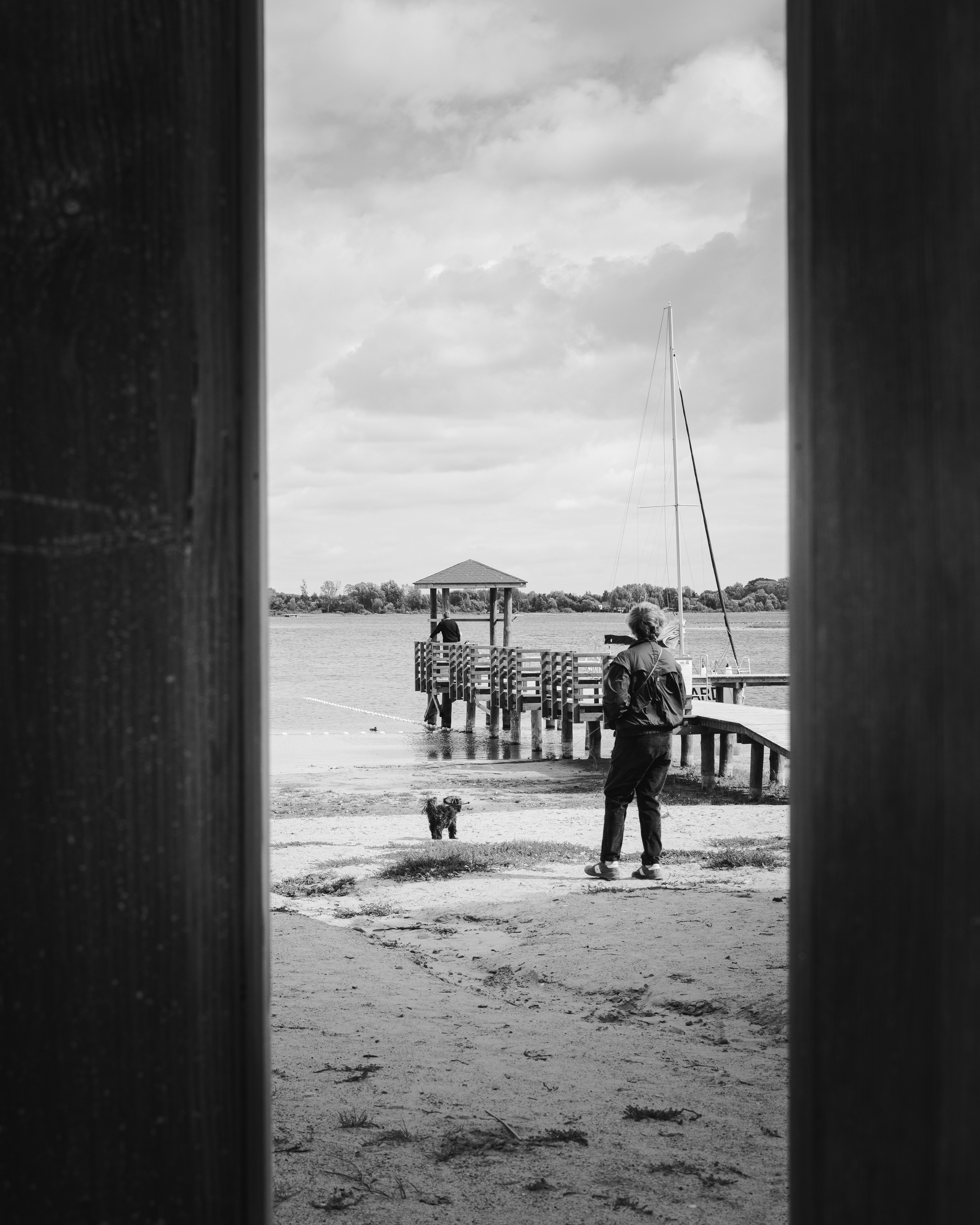 A Quiet Shoreline Through Wood Framing