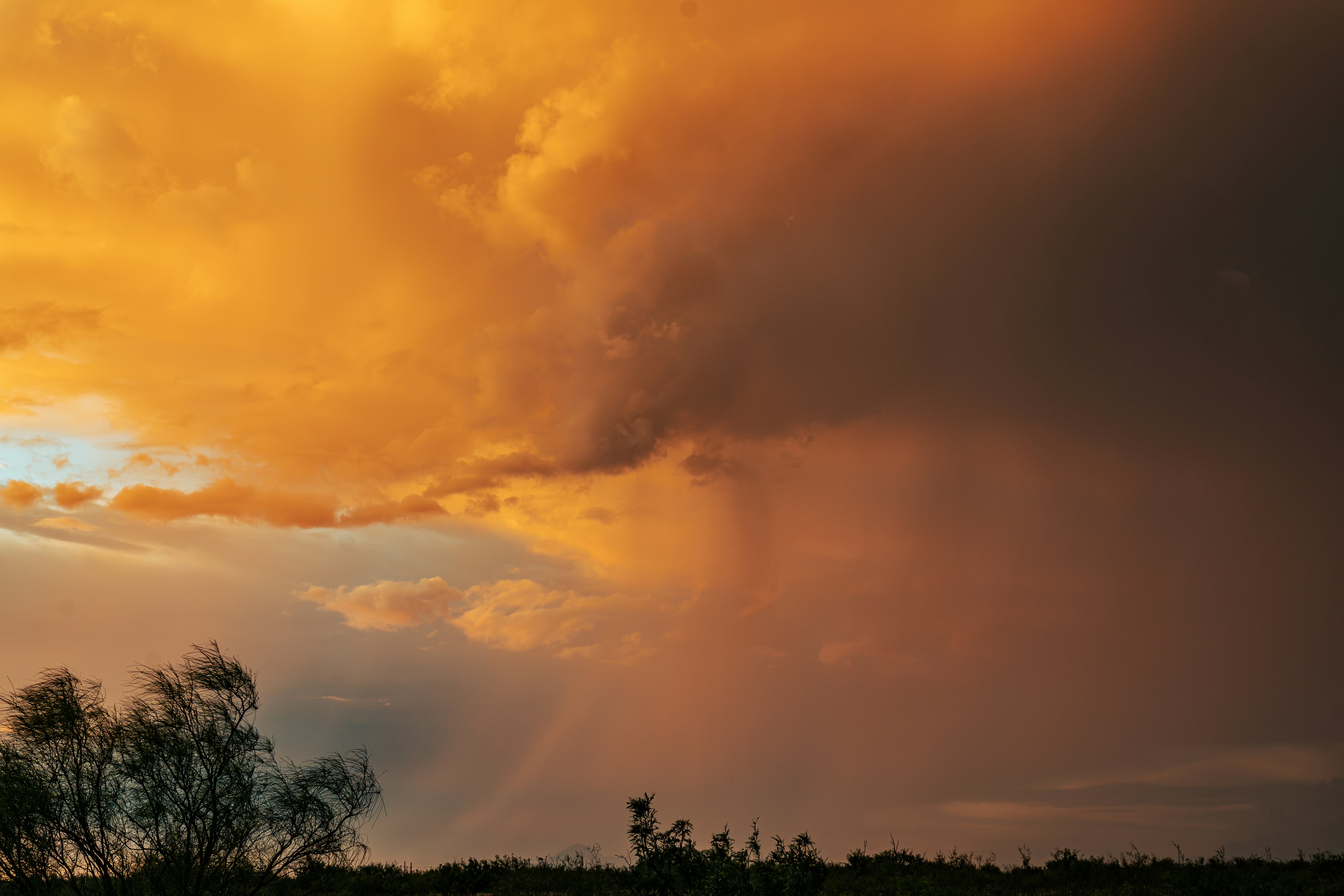 Storm Across the Prairie: Golden Light Meets Dark Cloud
