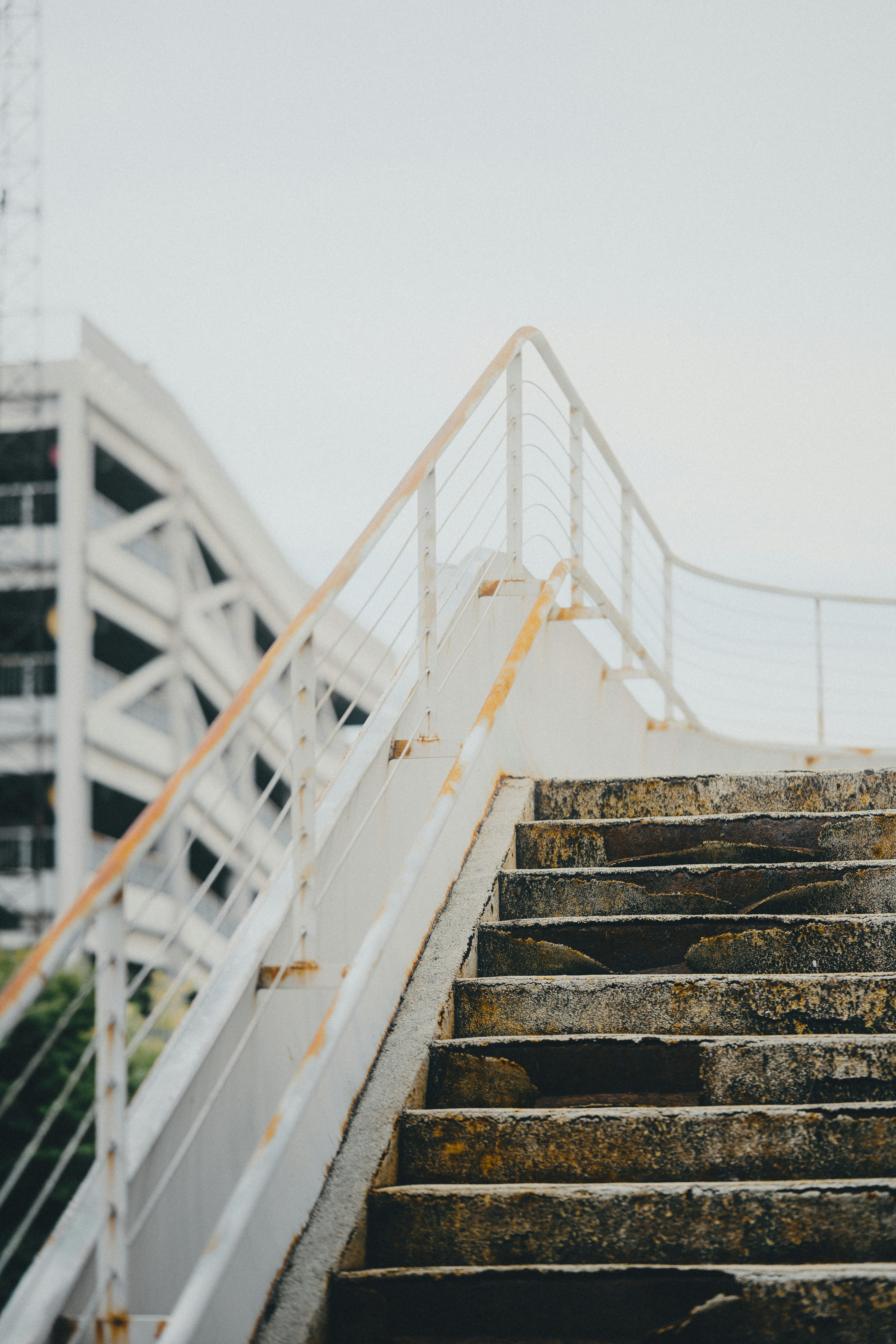 Stairway to Quiet Elevation