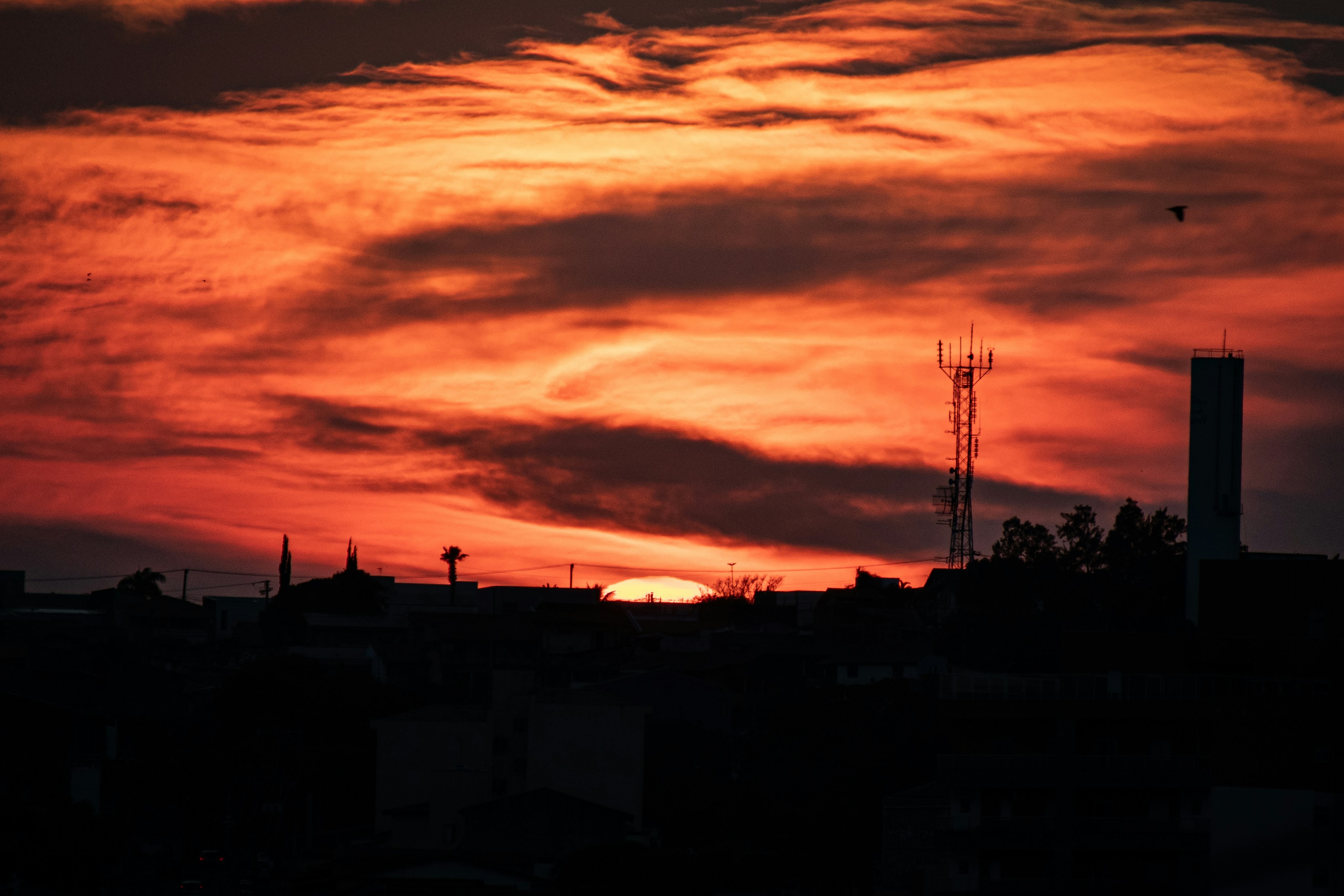 Silhouette at Sunset: City Edge Against a Fiery Sky