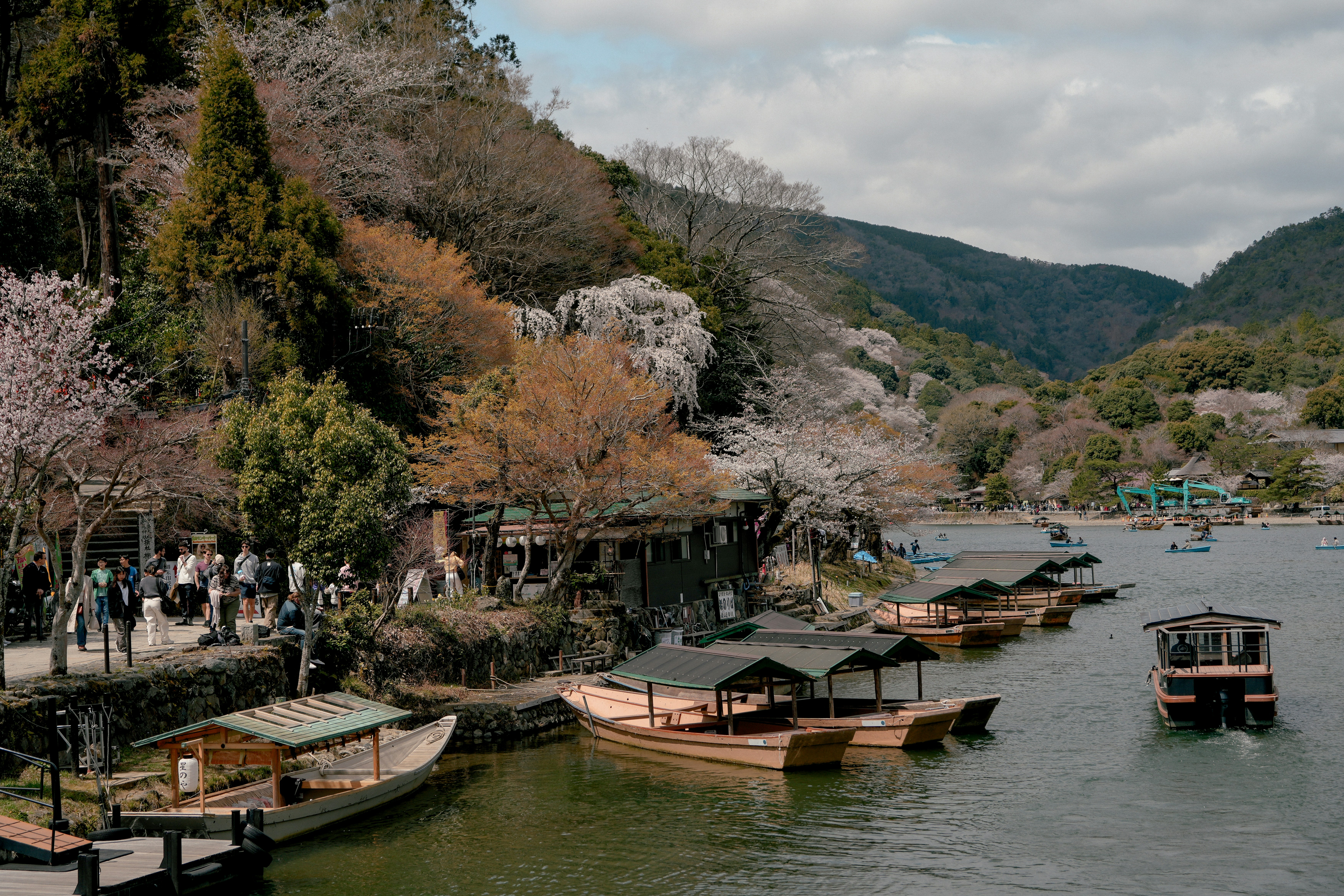 Sakura Shoreline: Boats and Autumnal Calm on the Lake