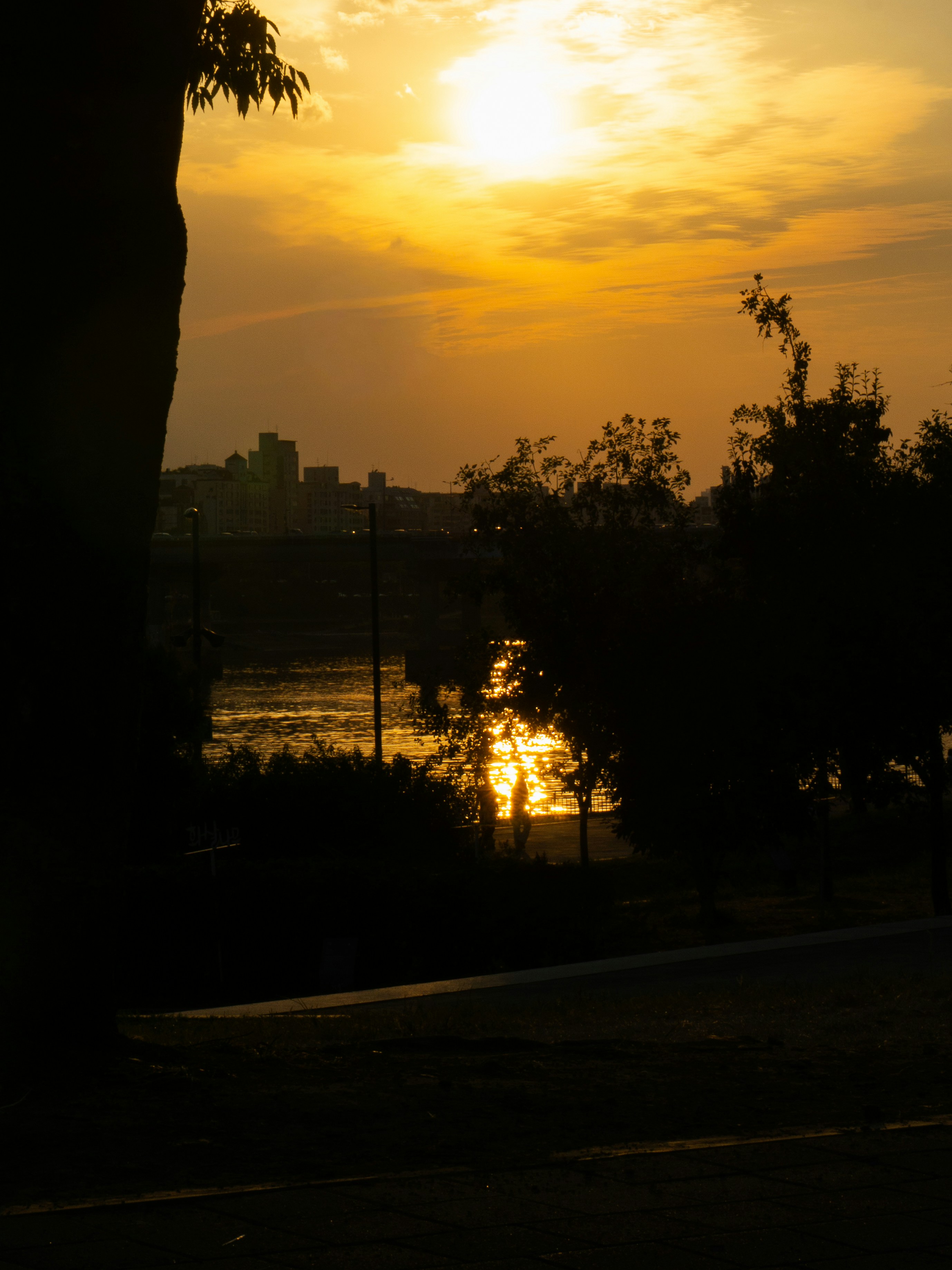 Golden Hour by the Riverside: silhouette and glow