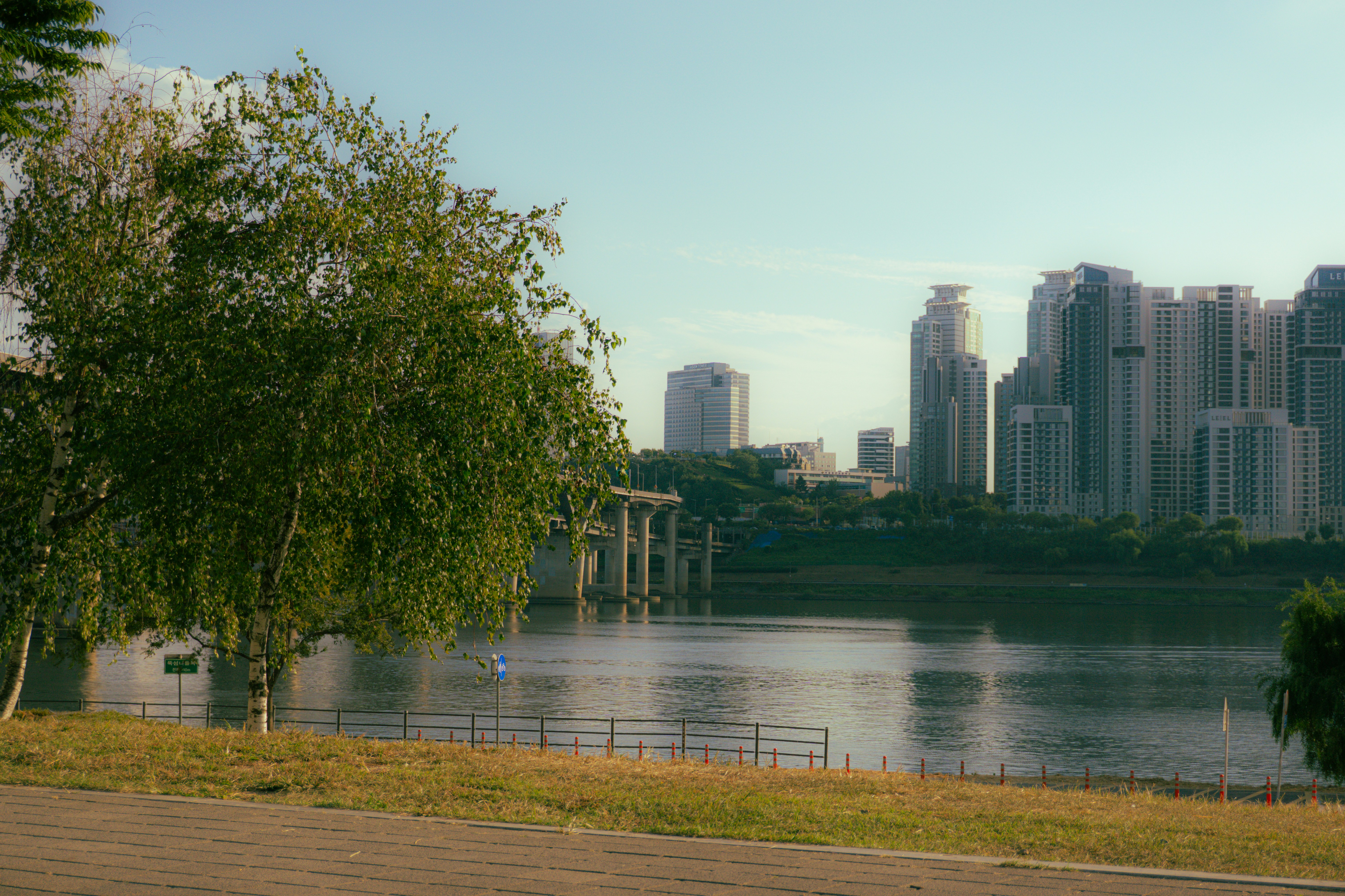 Cityscape by the River: A Quiet View of Modern Towers Across the Water