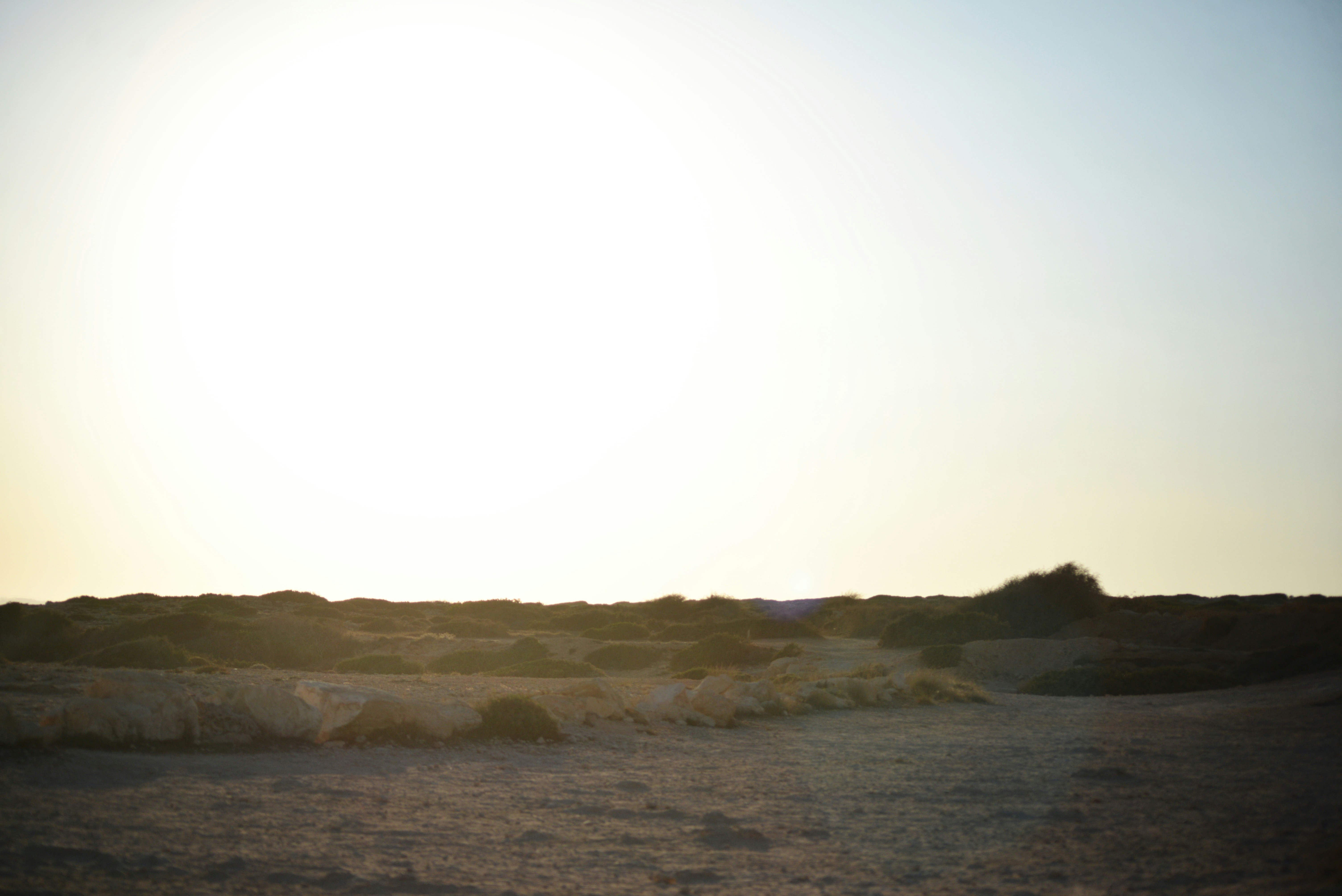 Low Sun over Coastal Dunes at Dusk