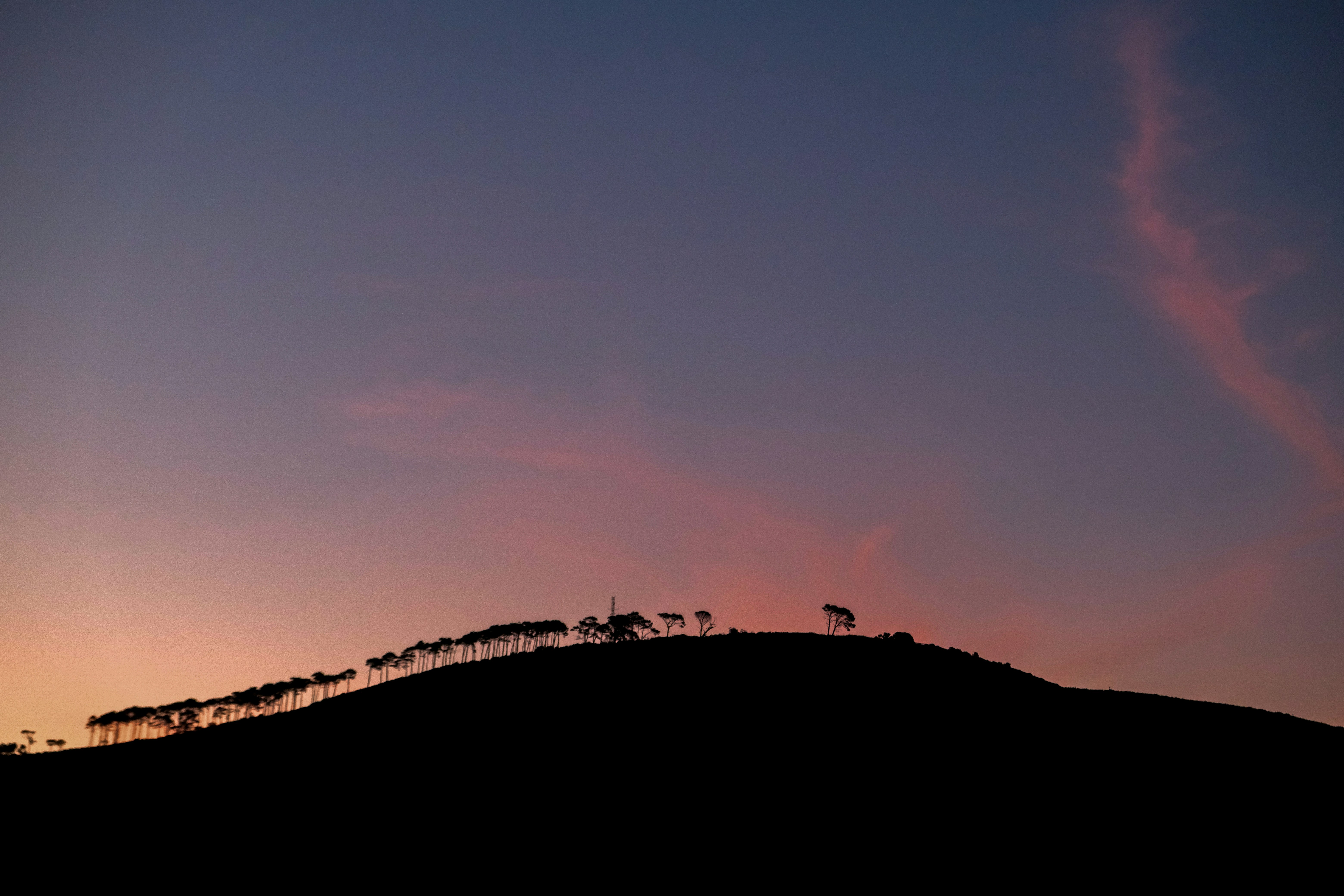 Silhouette at Sunset: A Quiet Crest of Trees