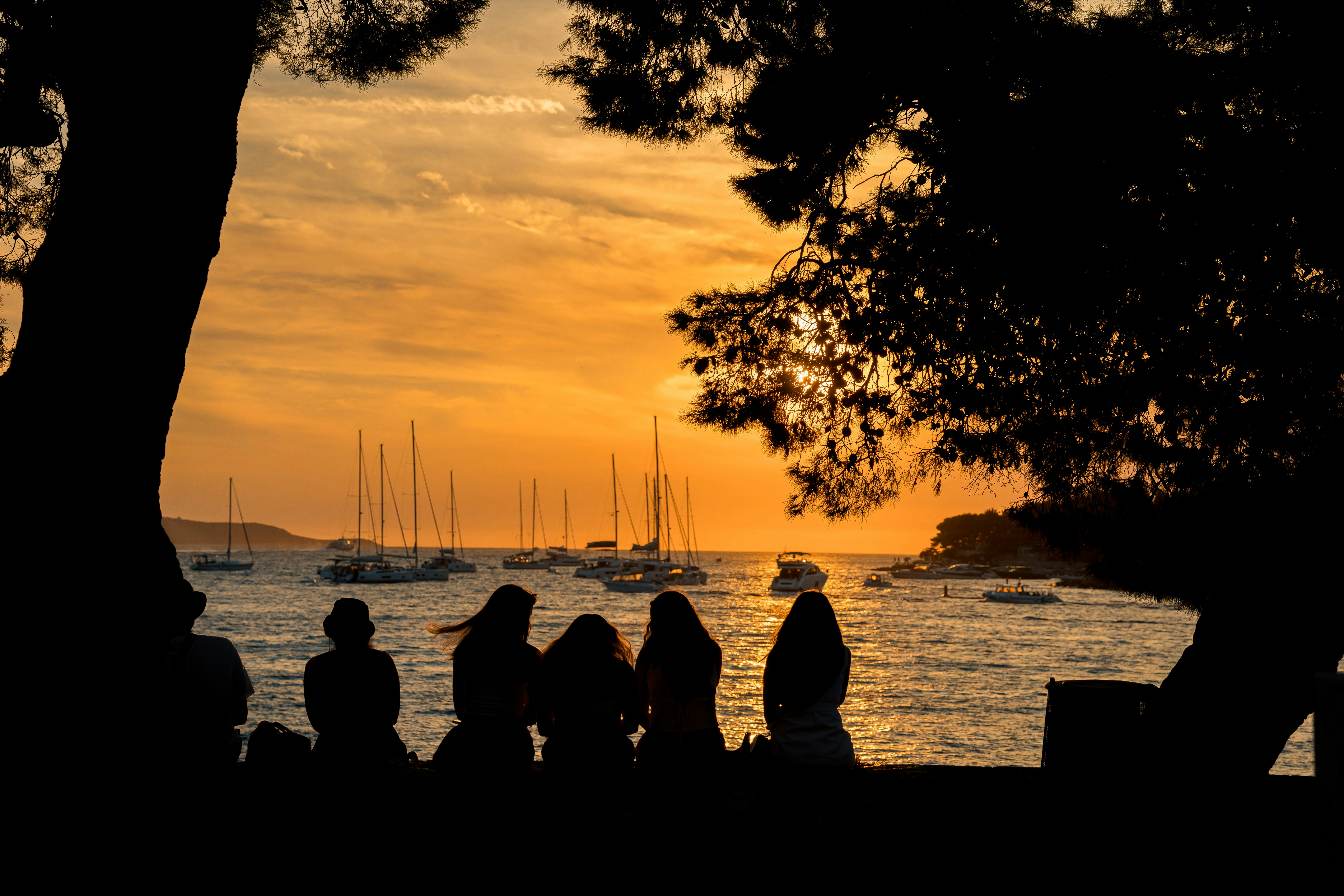 Silhouetted Gathering by the Sunset Harbor