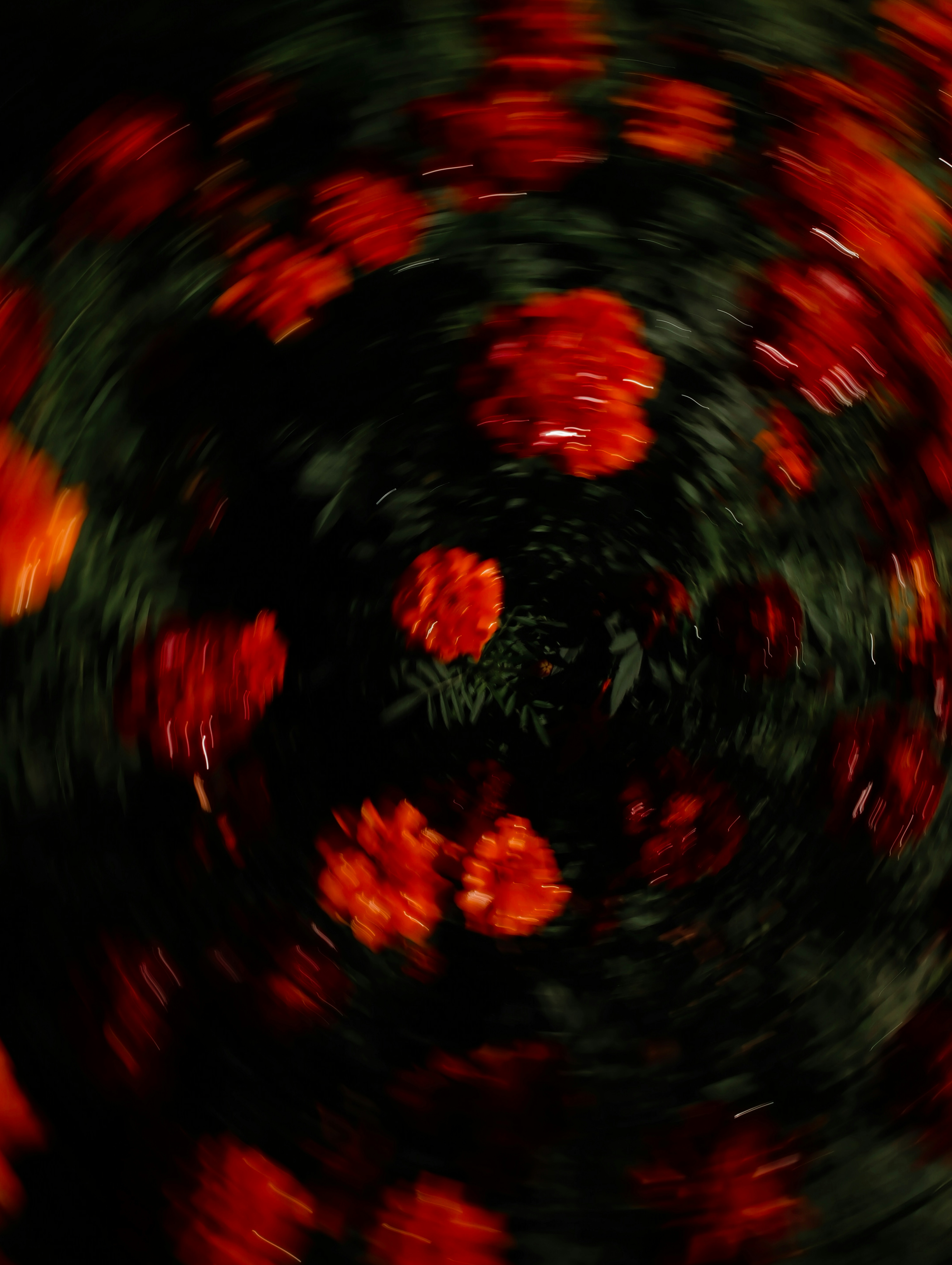 Spin of Crimson Blooms: a Nebula of Orange in Motion