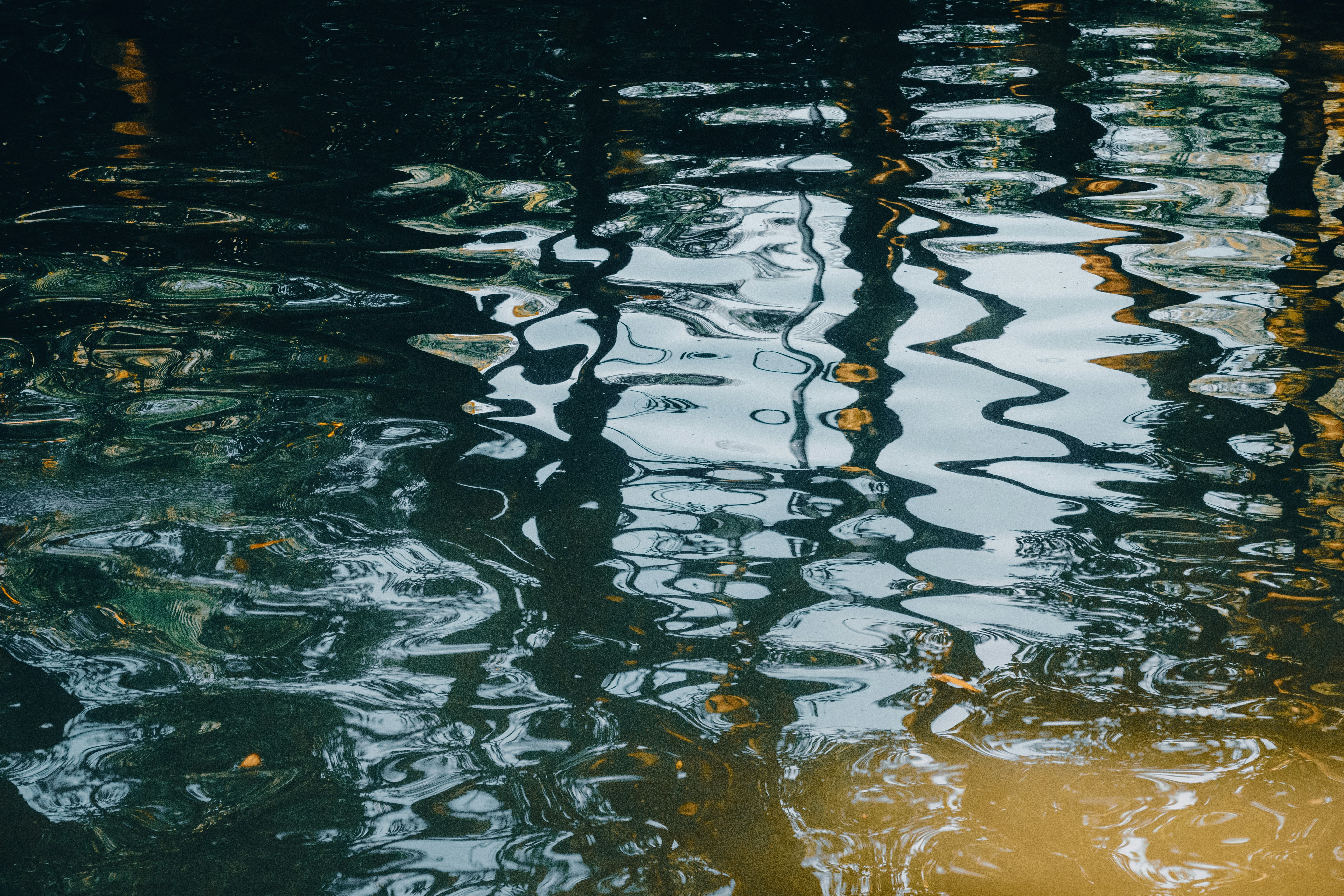 Ripple Portrait: Reflections on a Sunlit Water Surface