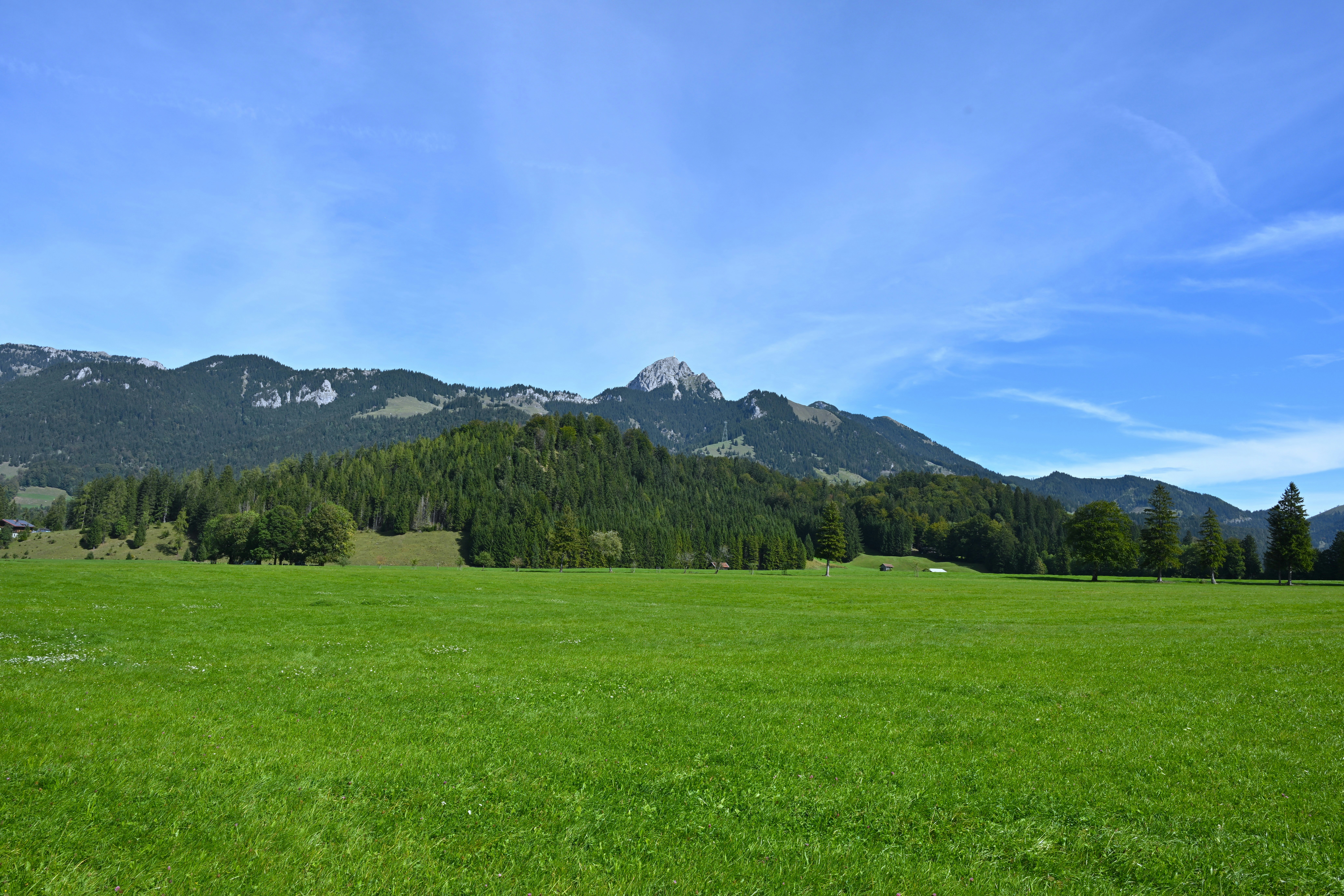 Verdant Plains at the Foot of Forested Peaks