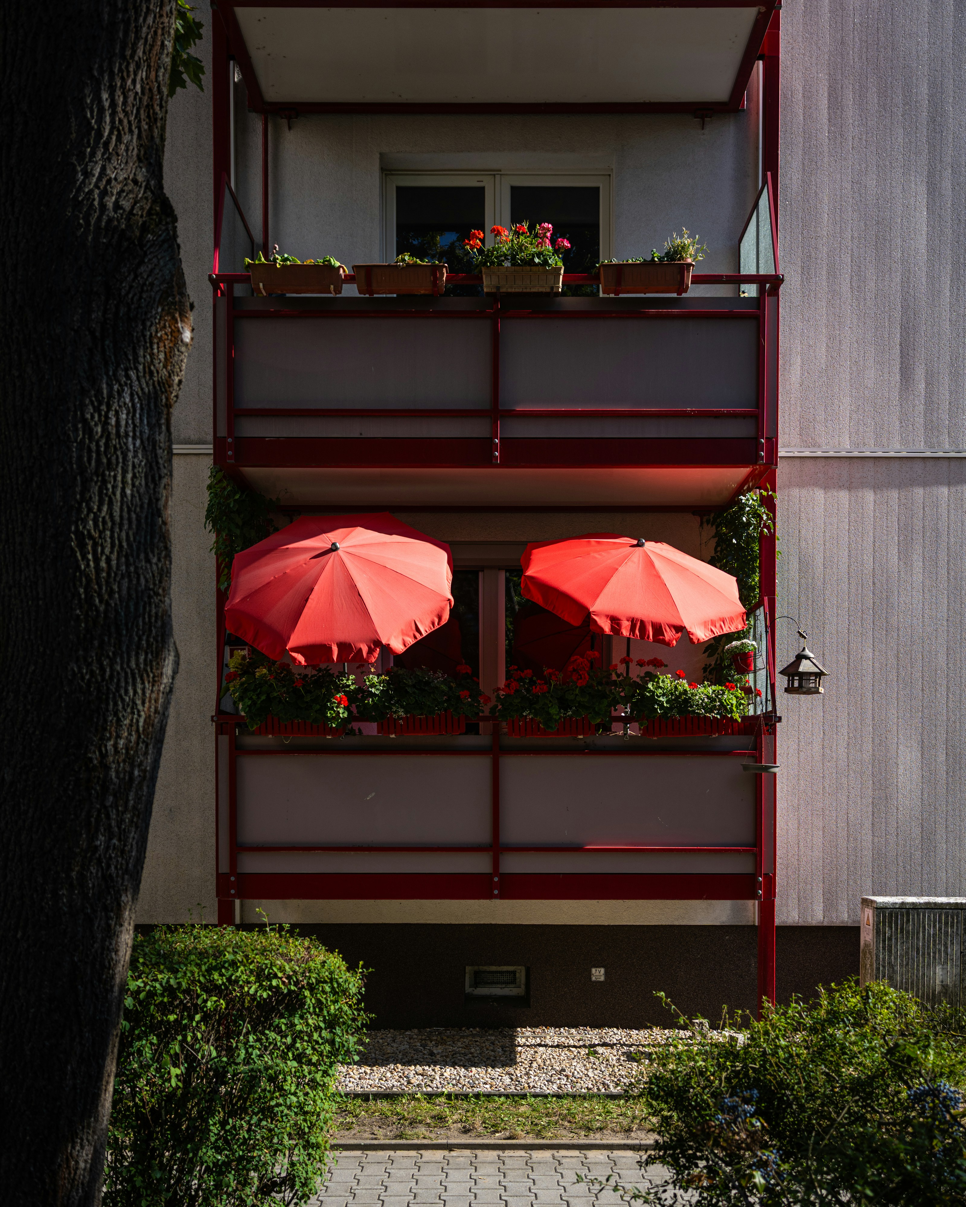 Red Balcony Oasis: A Sunlit Corridor of Flowers and Umbrellas